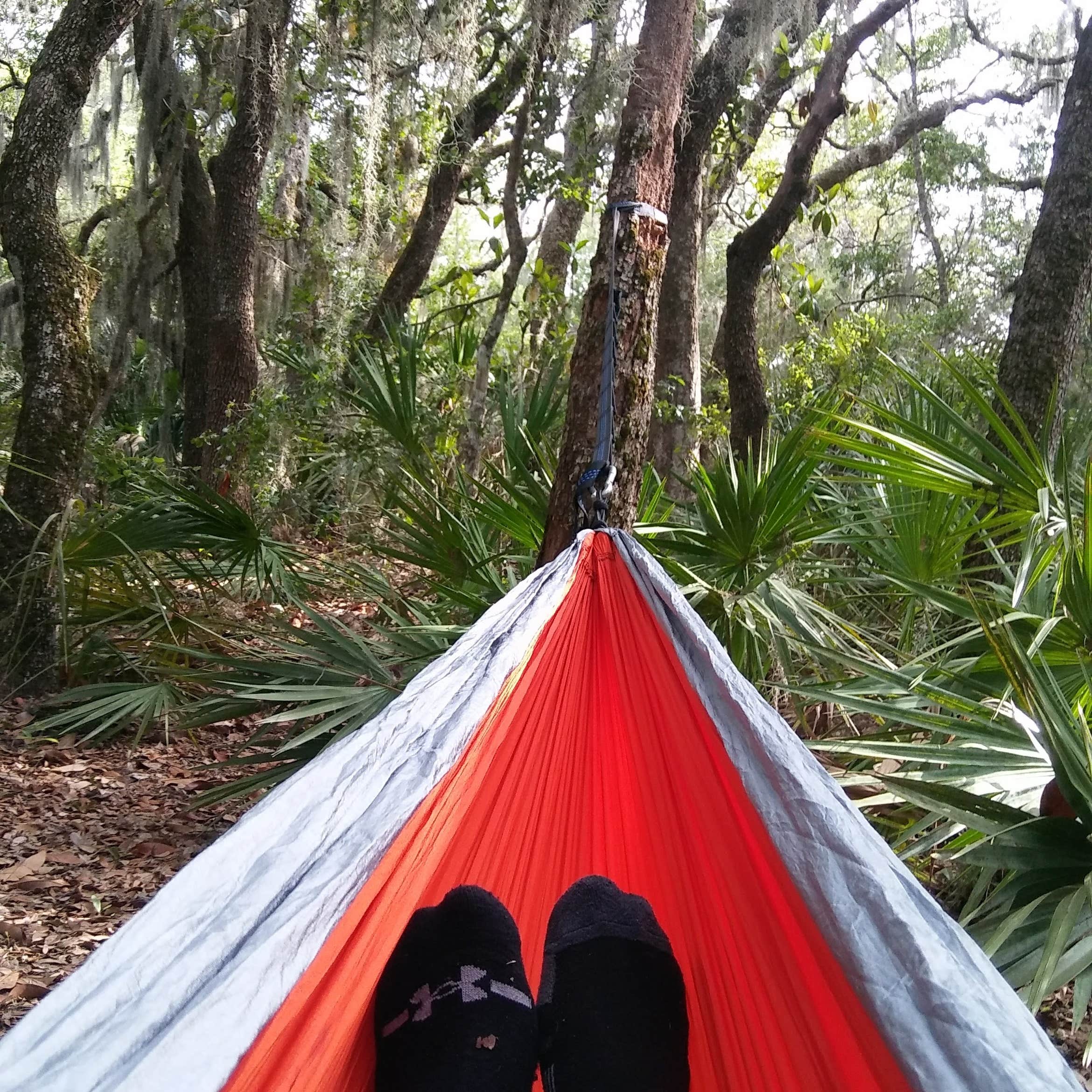 Little Talbot Island State Park Camping | The Dyrt
