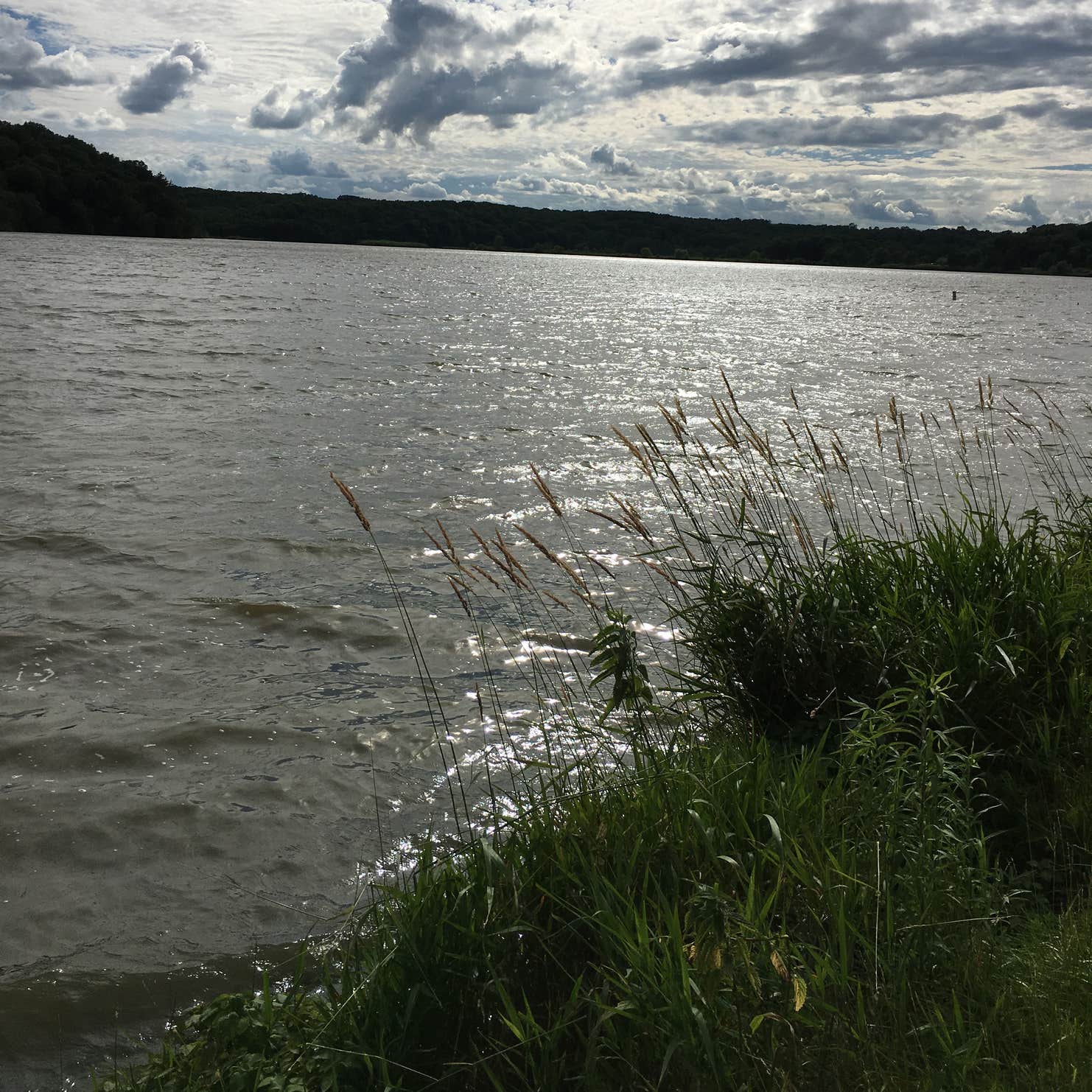 Yellowstone Lake State Park Camping | The Dyrt