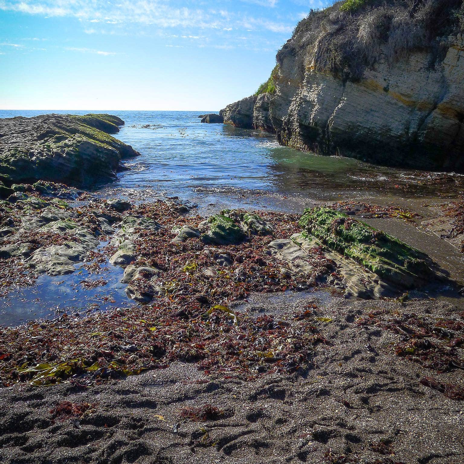Islay Creek Campground - Montaña de Oro State Park Camping | The Dyrt