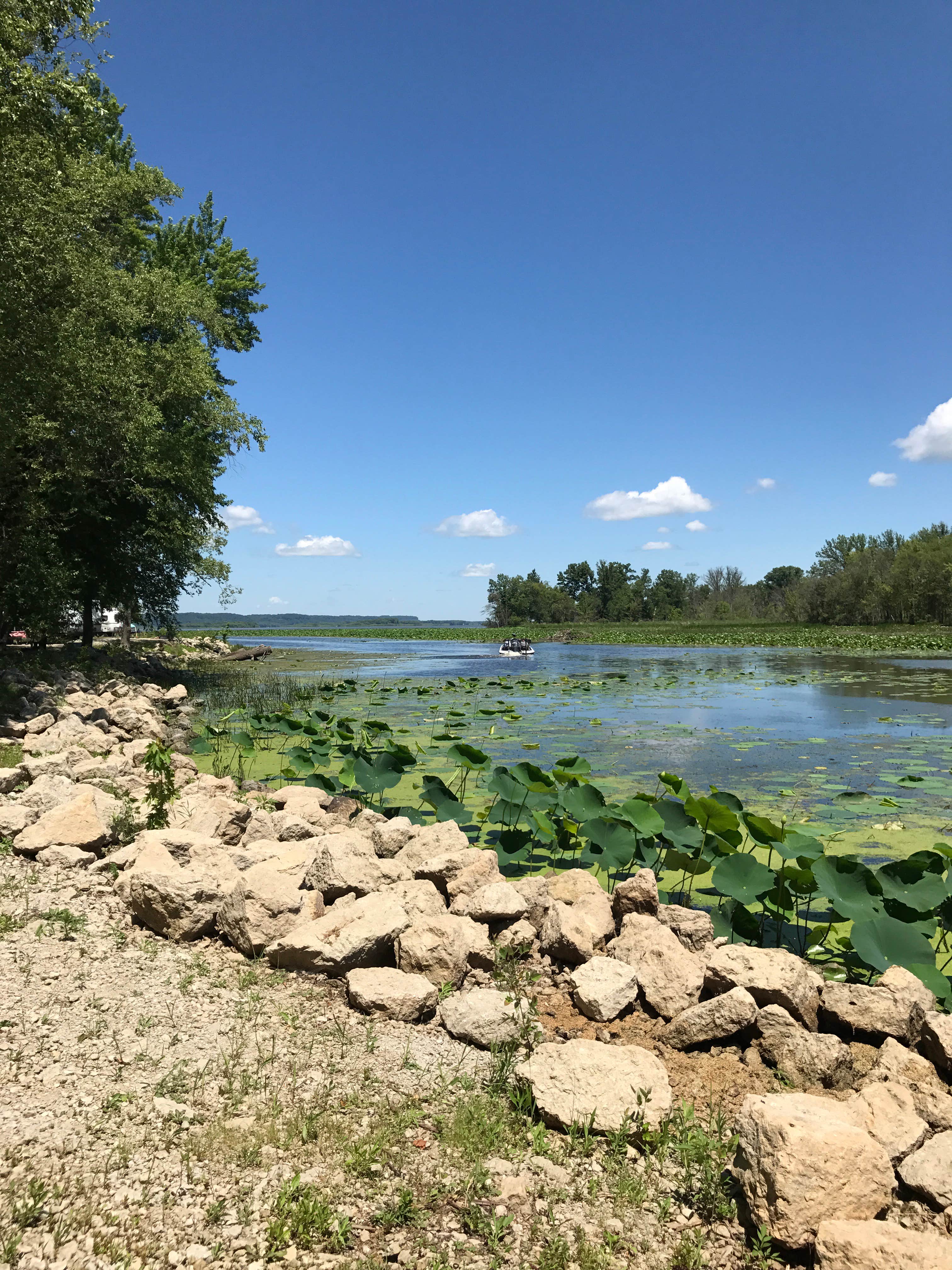 Thomson Causeway Camping | Thomson, Illinois