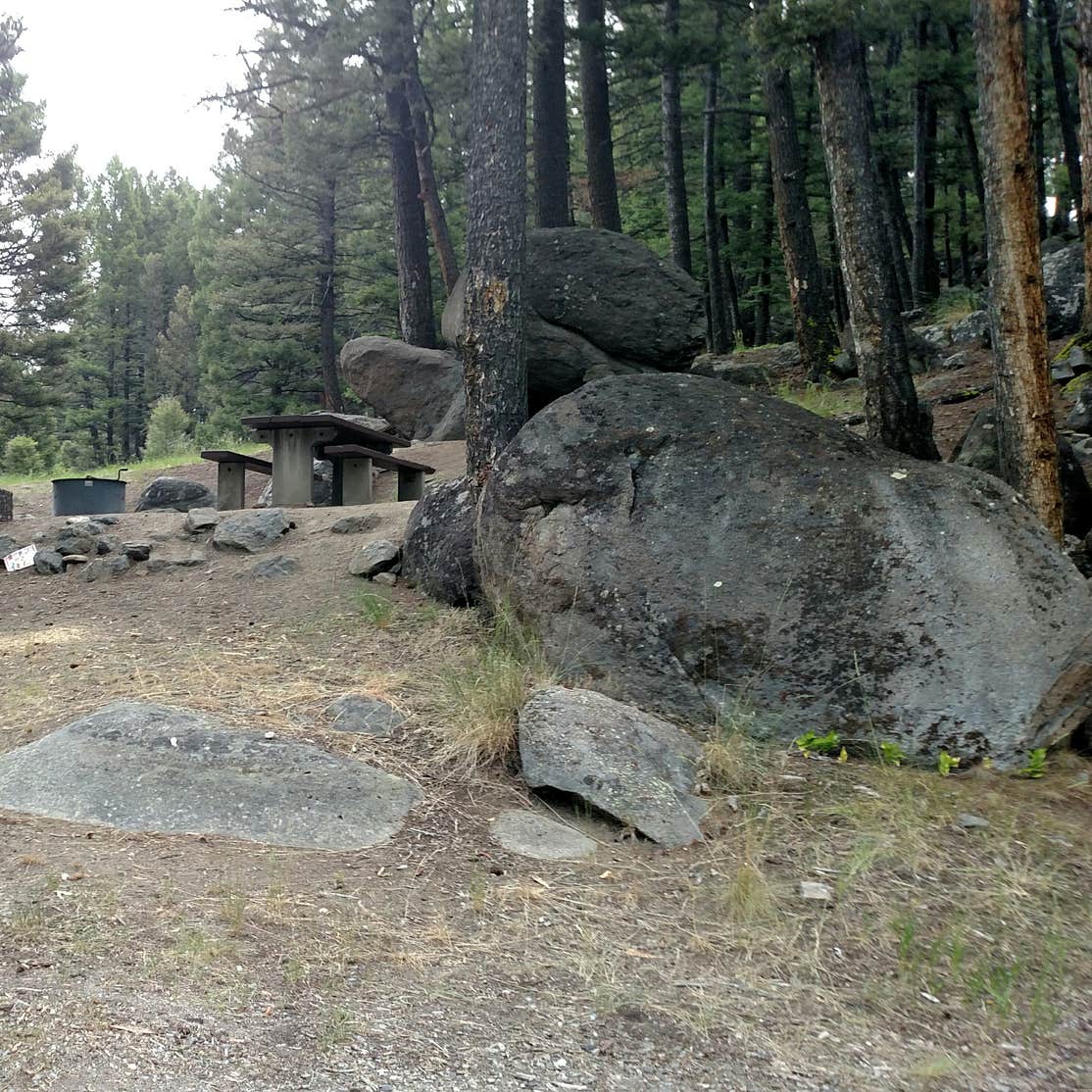Toll Mountain Campground | Whitehall, Montana