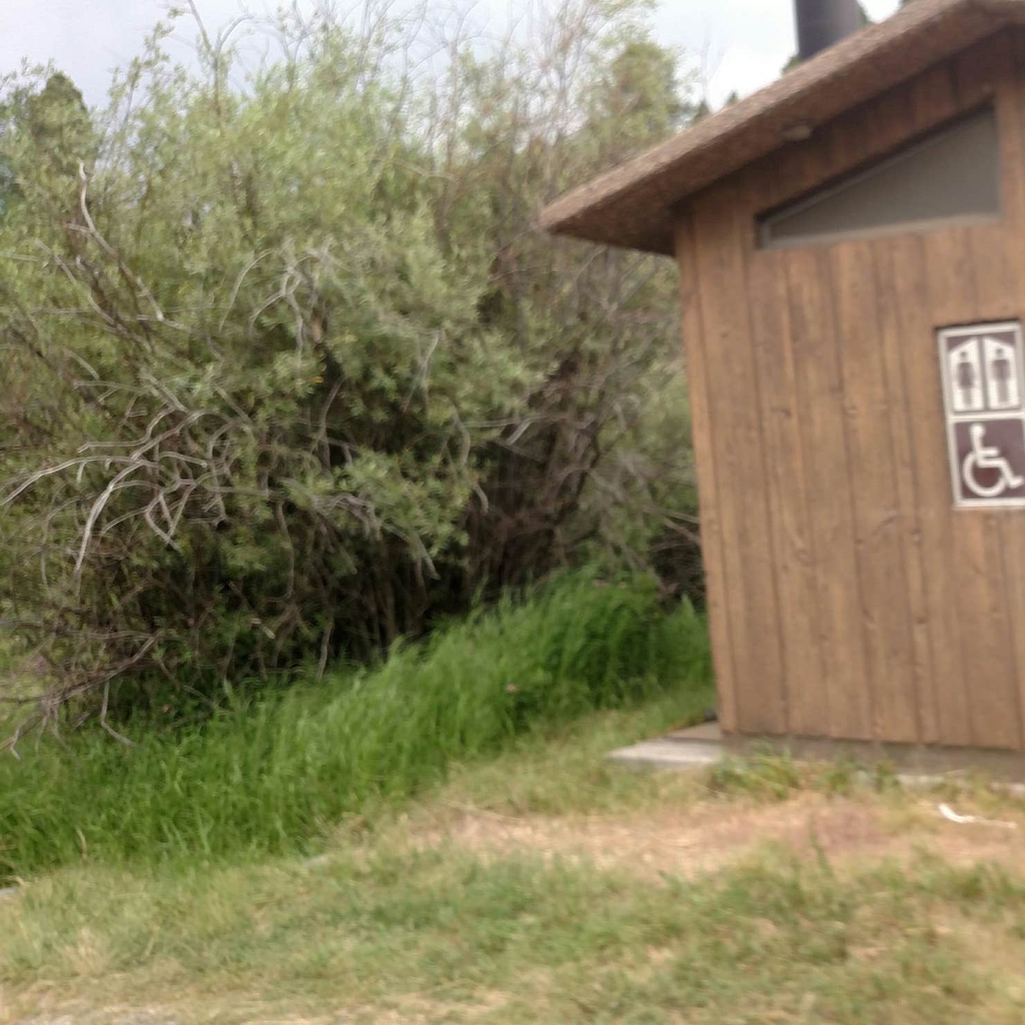 Toll Mountain Campground | Whitehall, Montana