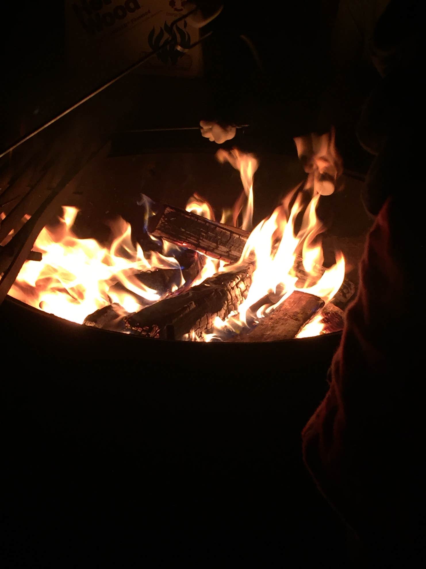 Emma Wood State Beach Camping | The Dyrt