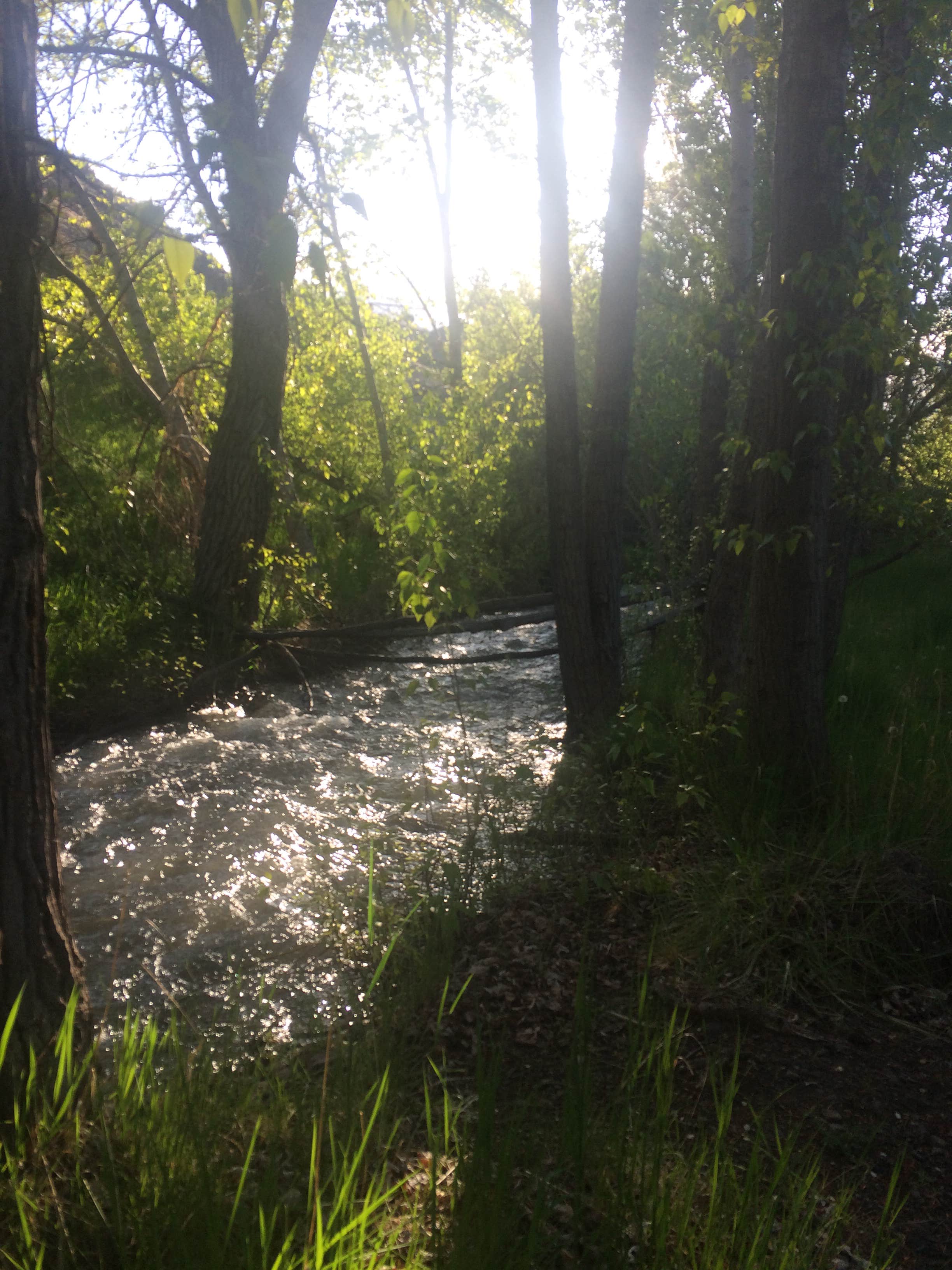 Mitchell City Park Camping | Mitchell, OR