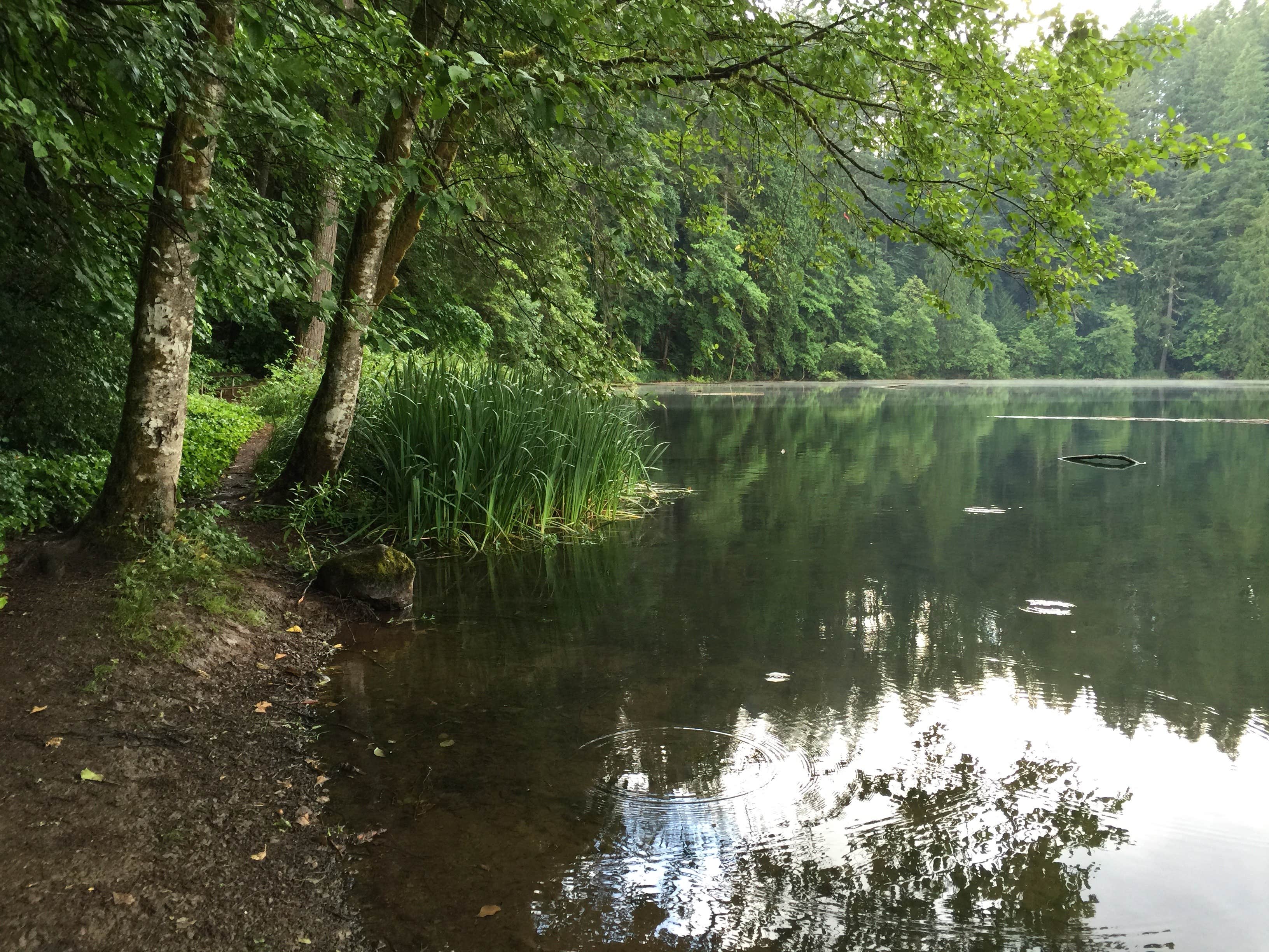 Battle Ground Lake State Park Campground | Heisson, Washington