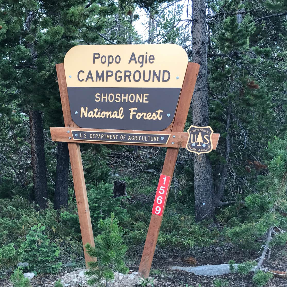 Little Popo Agie Campground Camping | The Dyrt