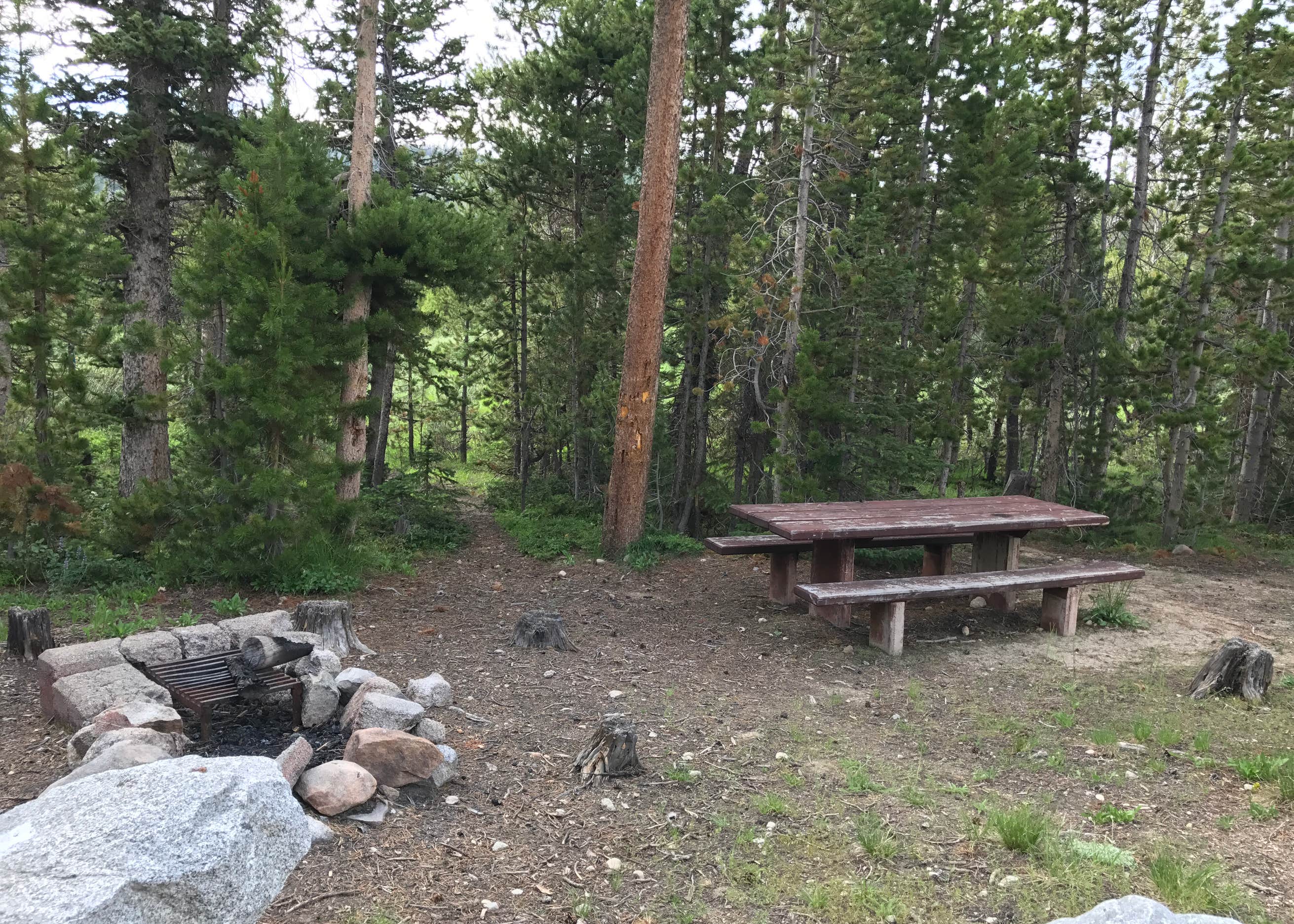 Little Popo Agie Campground Camping | The Dyrt