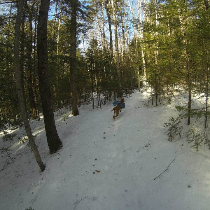 Moose Brook State Park Camping | The Dyrt