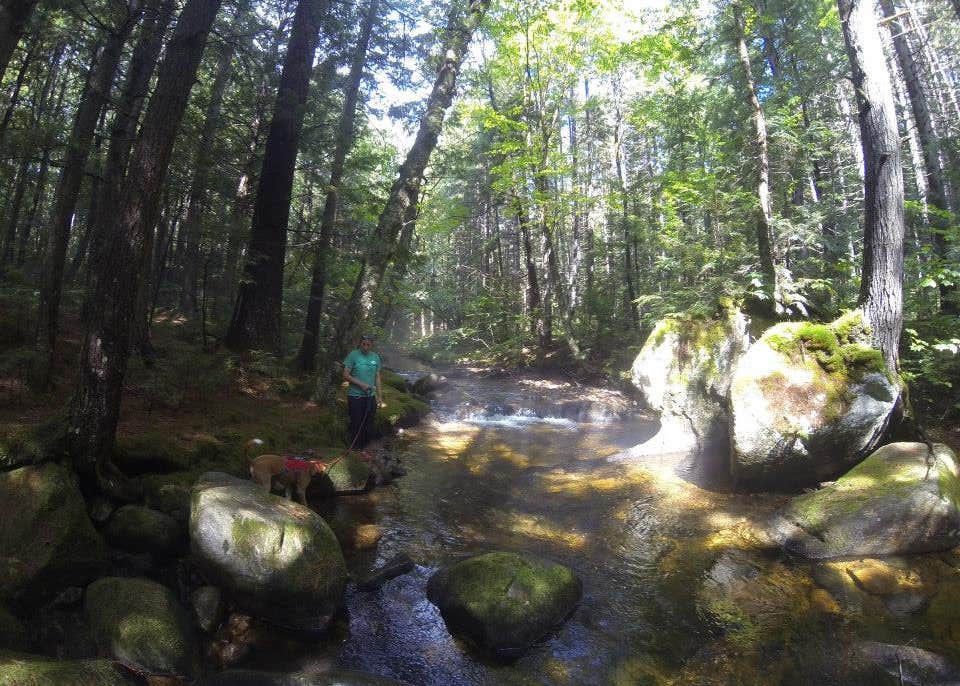 Moose Brook State Park Camping | The Dyrt