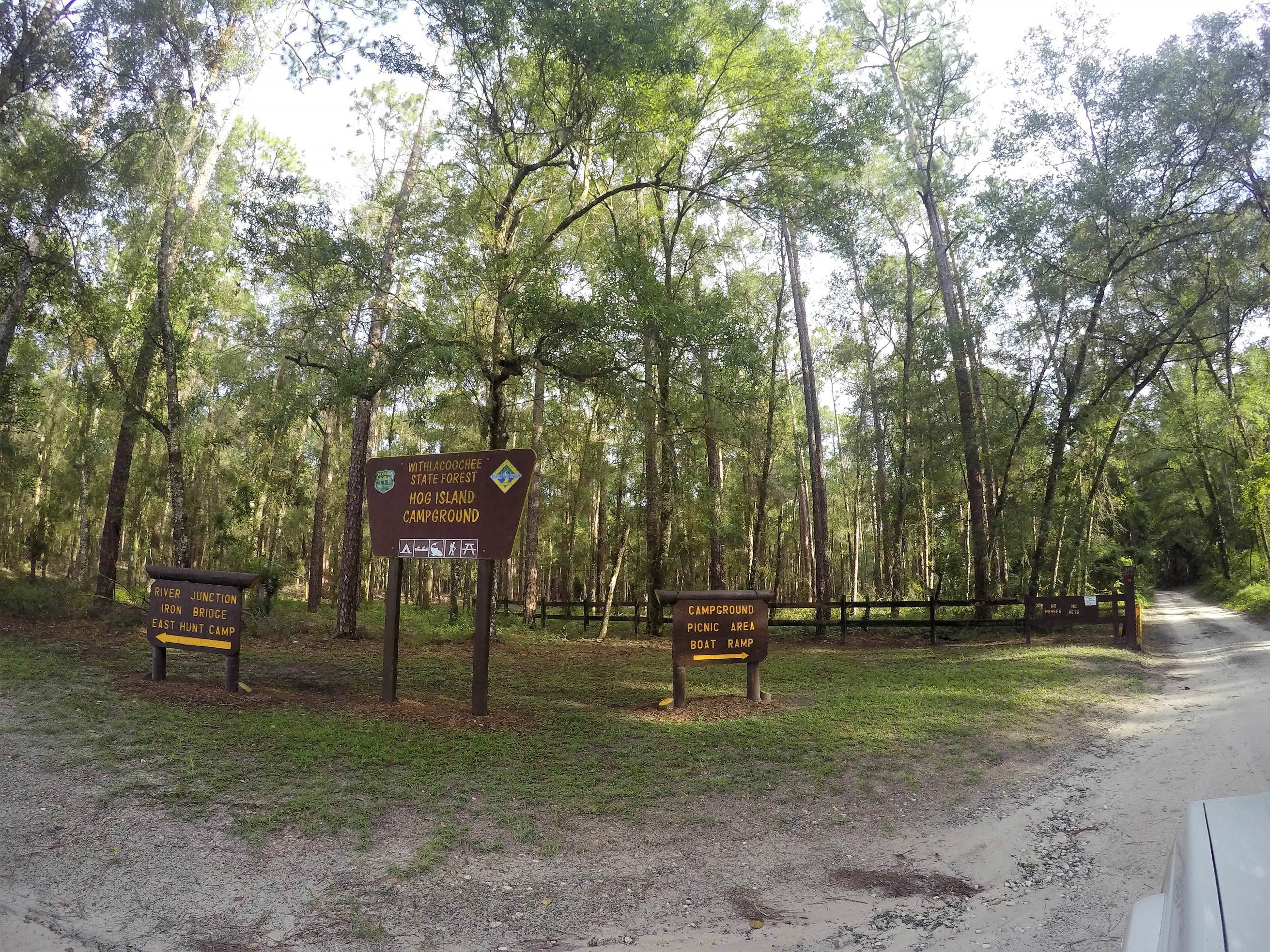 Hog Island Recreation Area Camping | The Dyrt