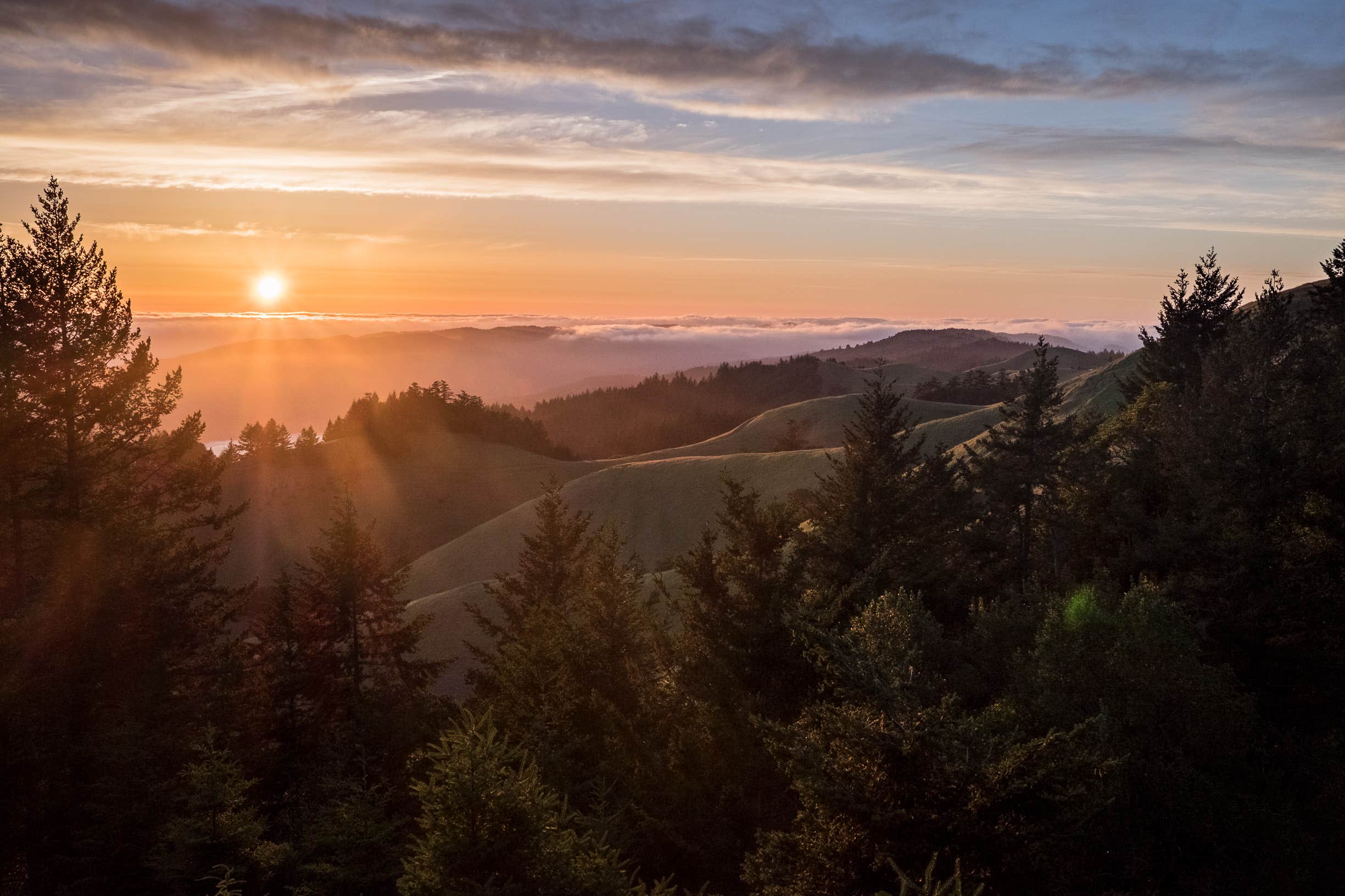 Samuel P. Taylor State Park Campground | Lagunitas, California