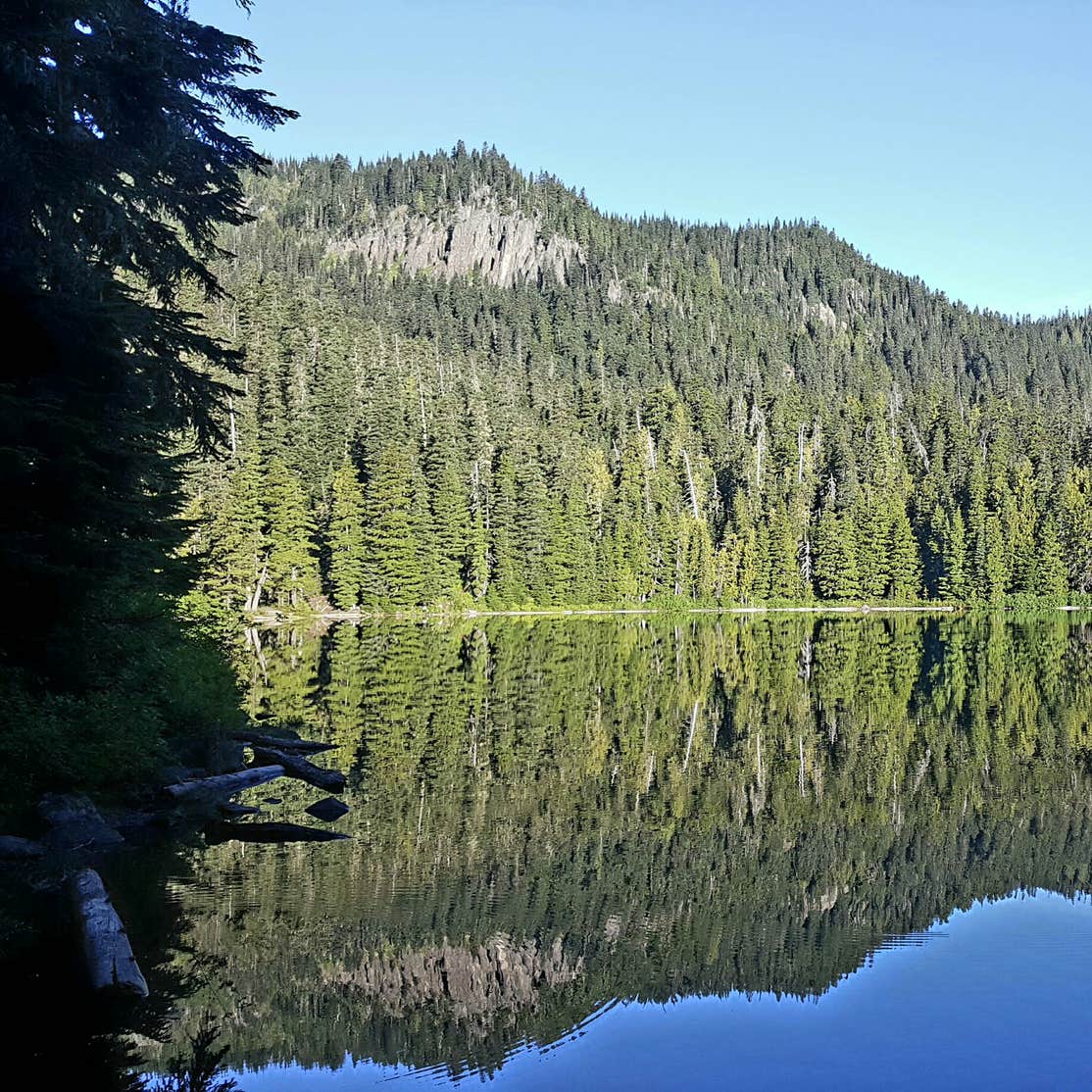 Lake Eleanor Backcountry Campsites — Mount Rainier National Park ...
