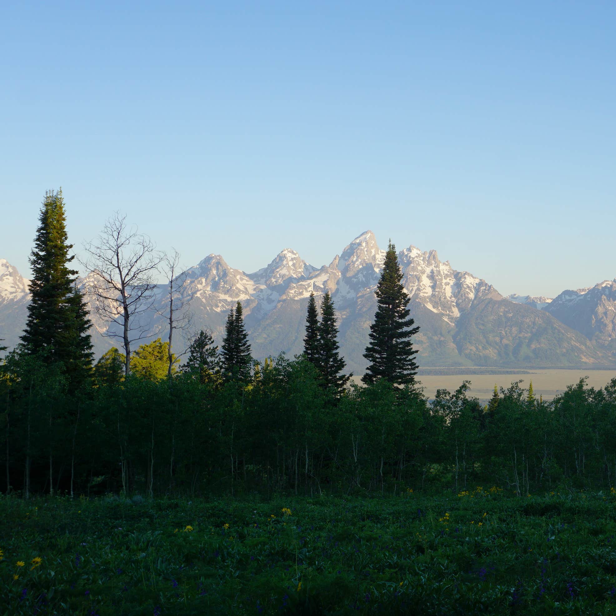 Shadow Mountain Dispersed Camping Camping | The Dyrt