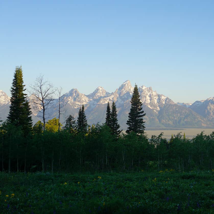 Shadow Mountain Dispersed Camping Camping | The Dyrt