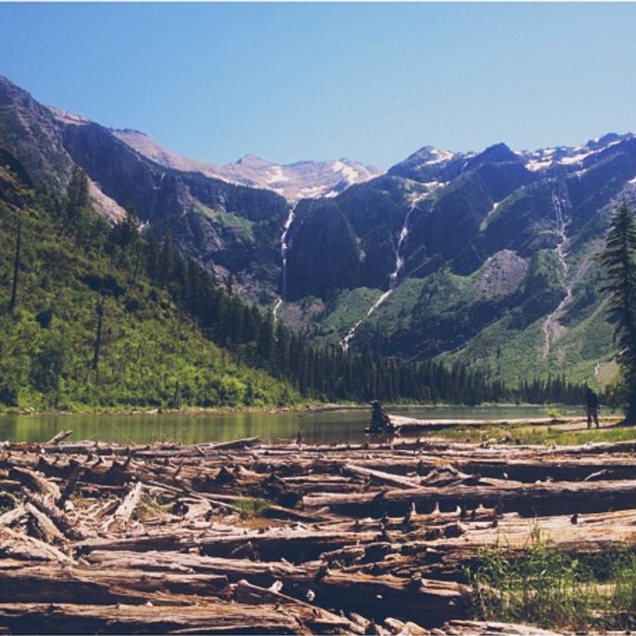 Apgar Campground - Glacier National Park Camping | The Dyrt