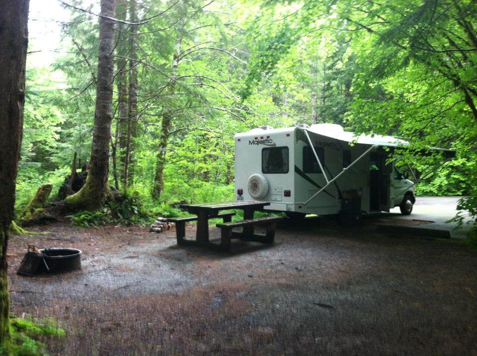 Coho Campground | Quinault, Washington