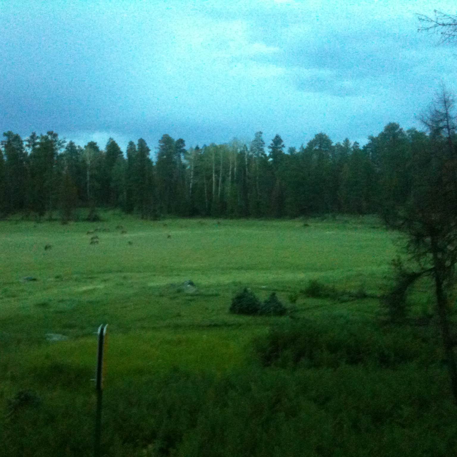 Reservation Lake Camping | Greer, Arizona