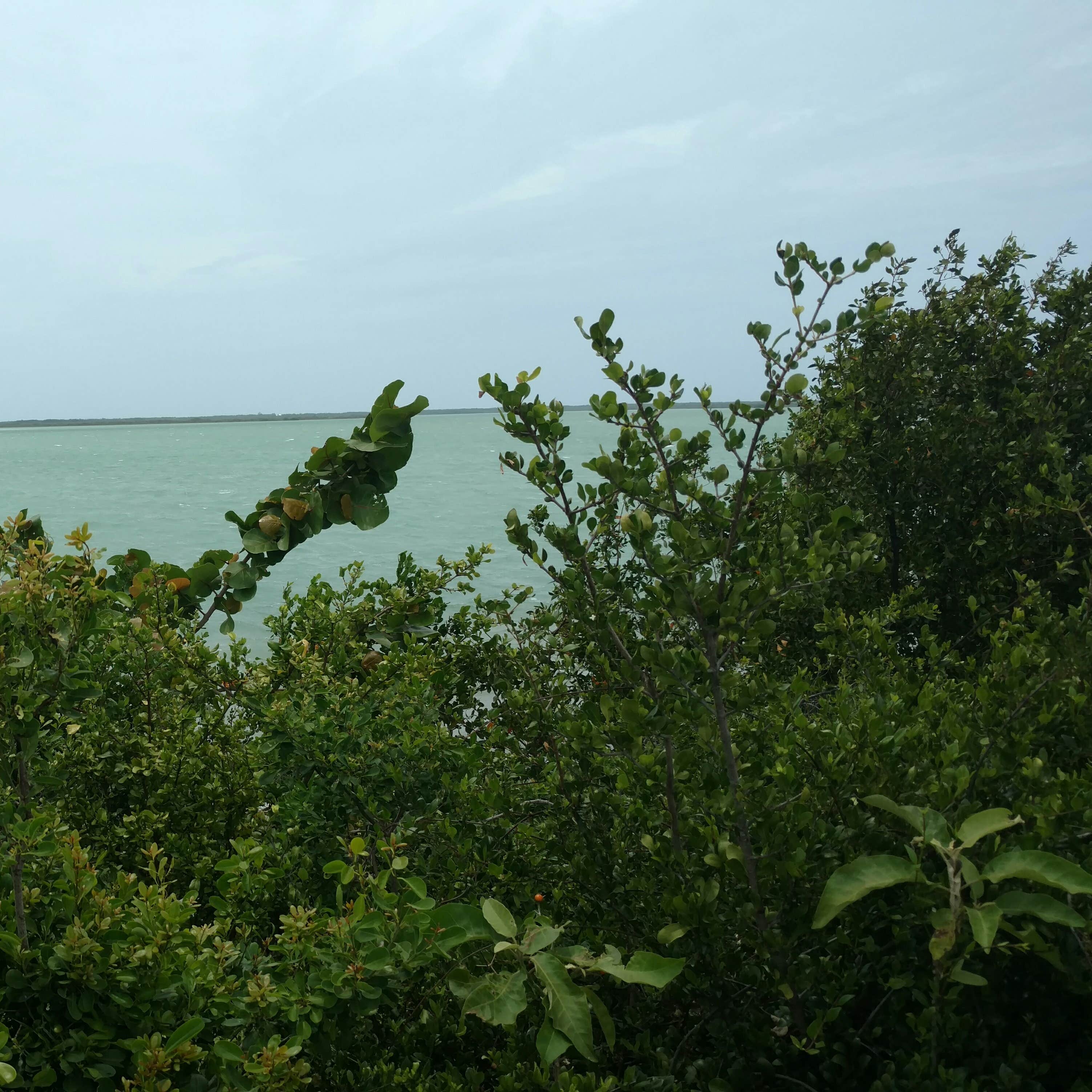 Long Key State Park Camping | The Dyrt