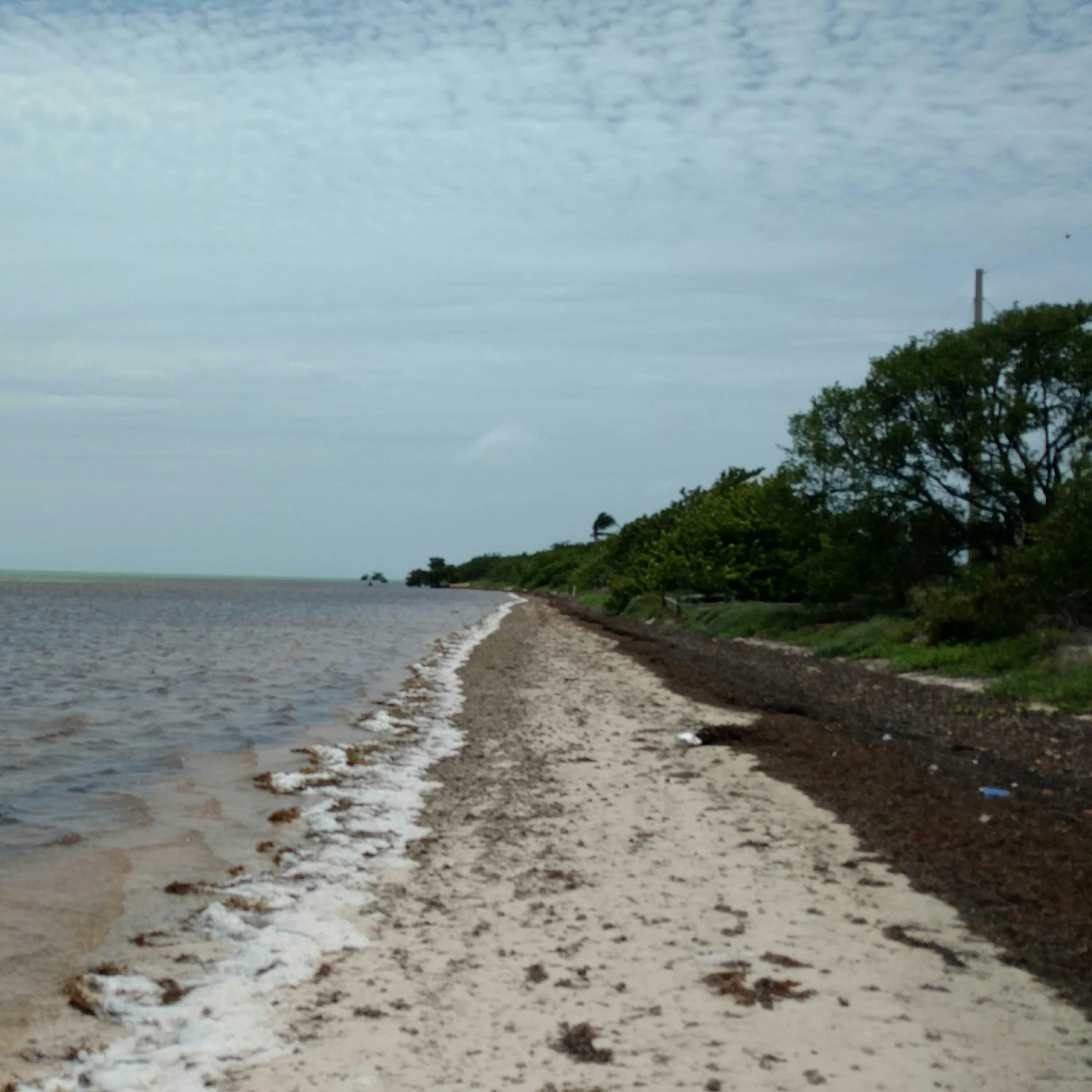 Long Key State Park Camping | The Dyrt