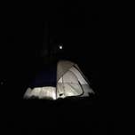 Mossyrock Park Camping | The Dyrt