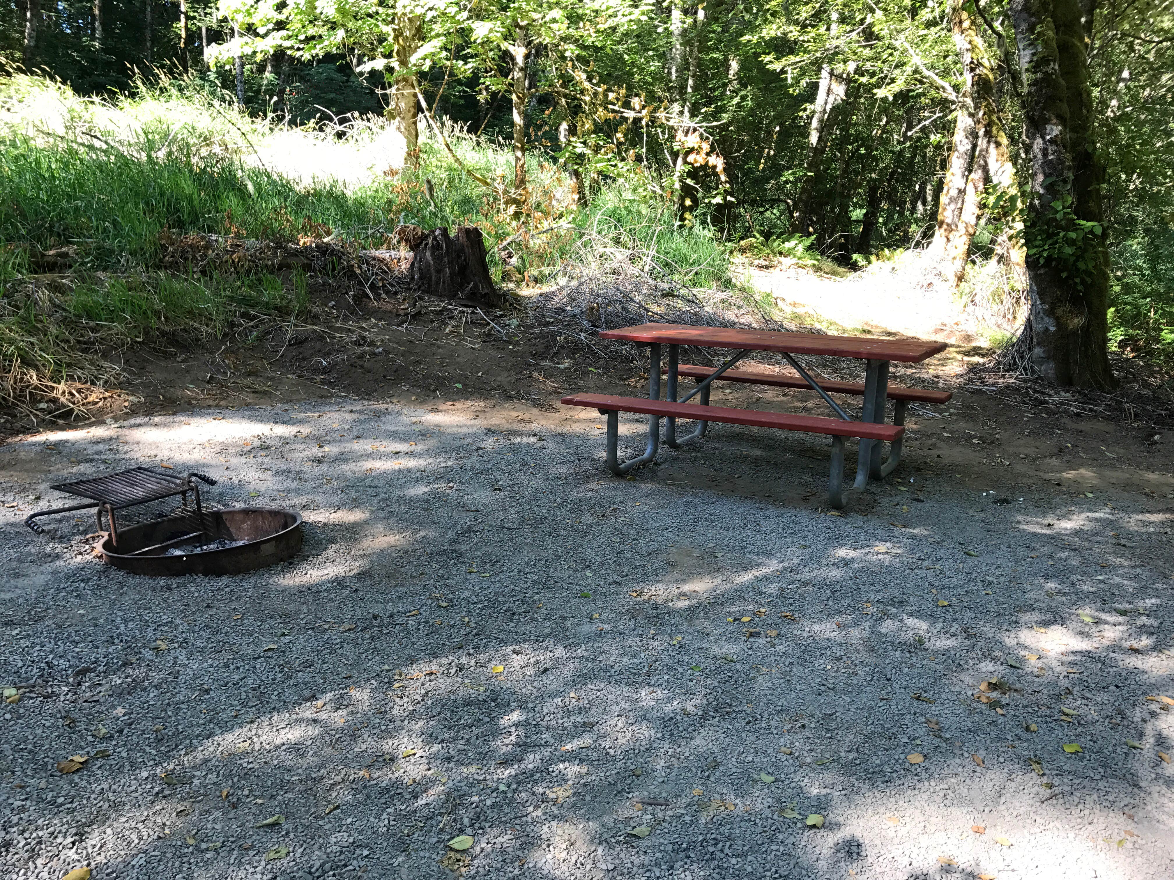 Mossyrock Park Camping | Mossyrock, Washington