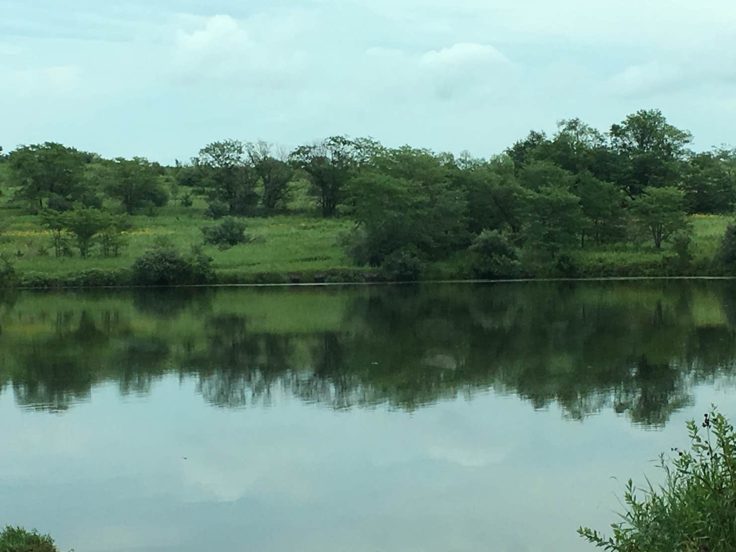 Pierce Creek Rec Area | The Dyrt