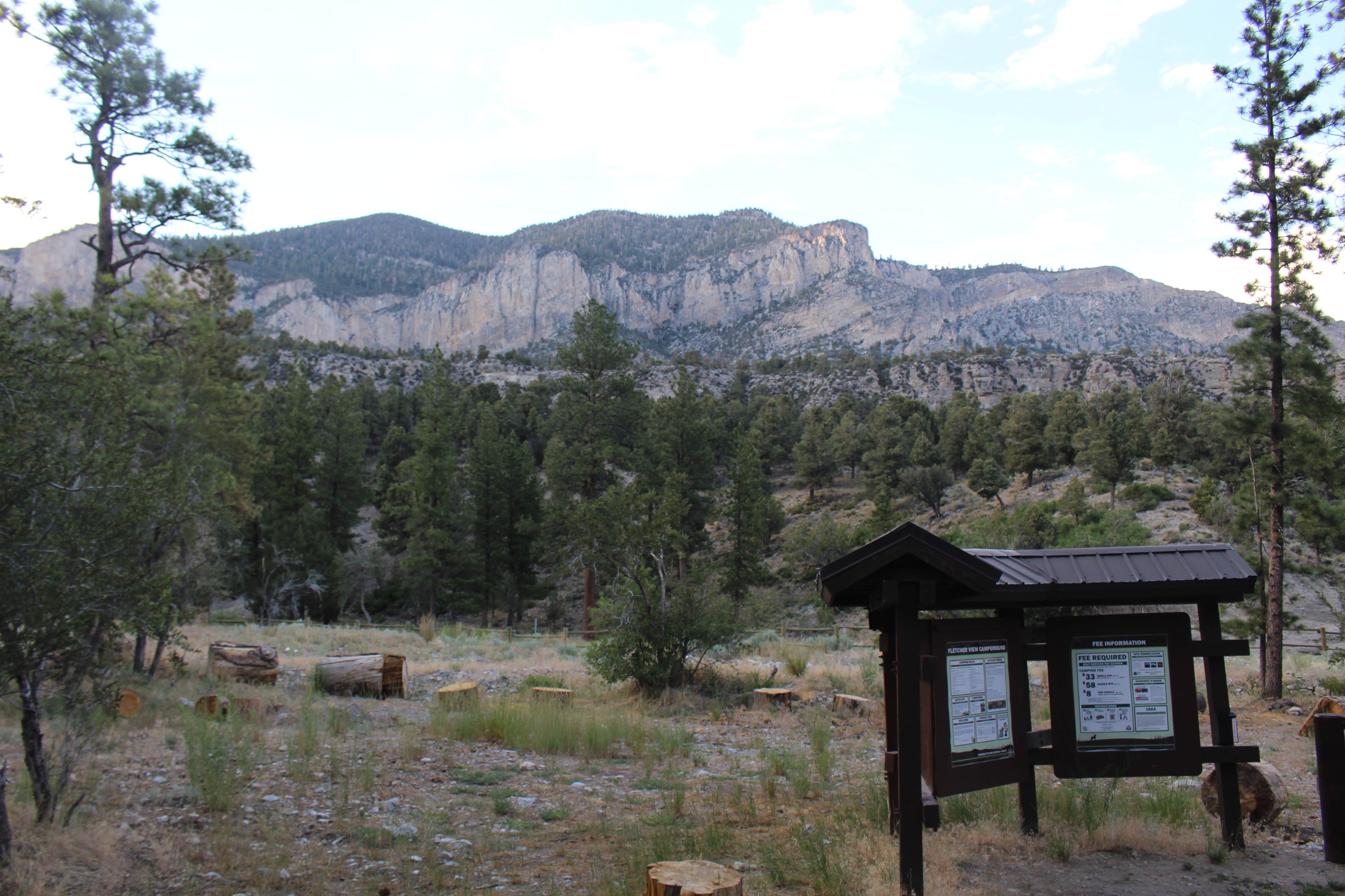 Fletcher View Camping | The Dyrt