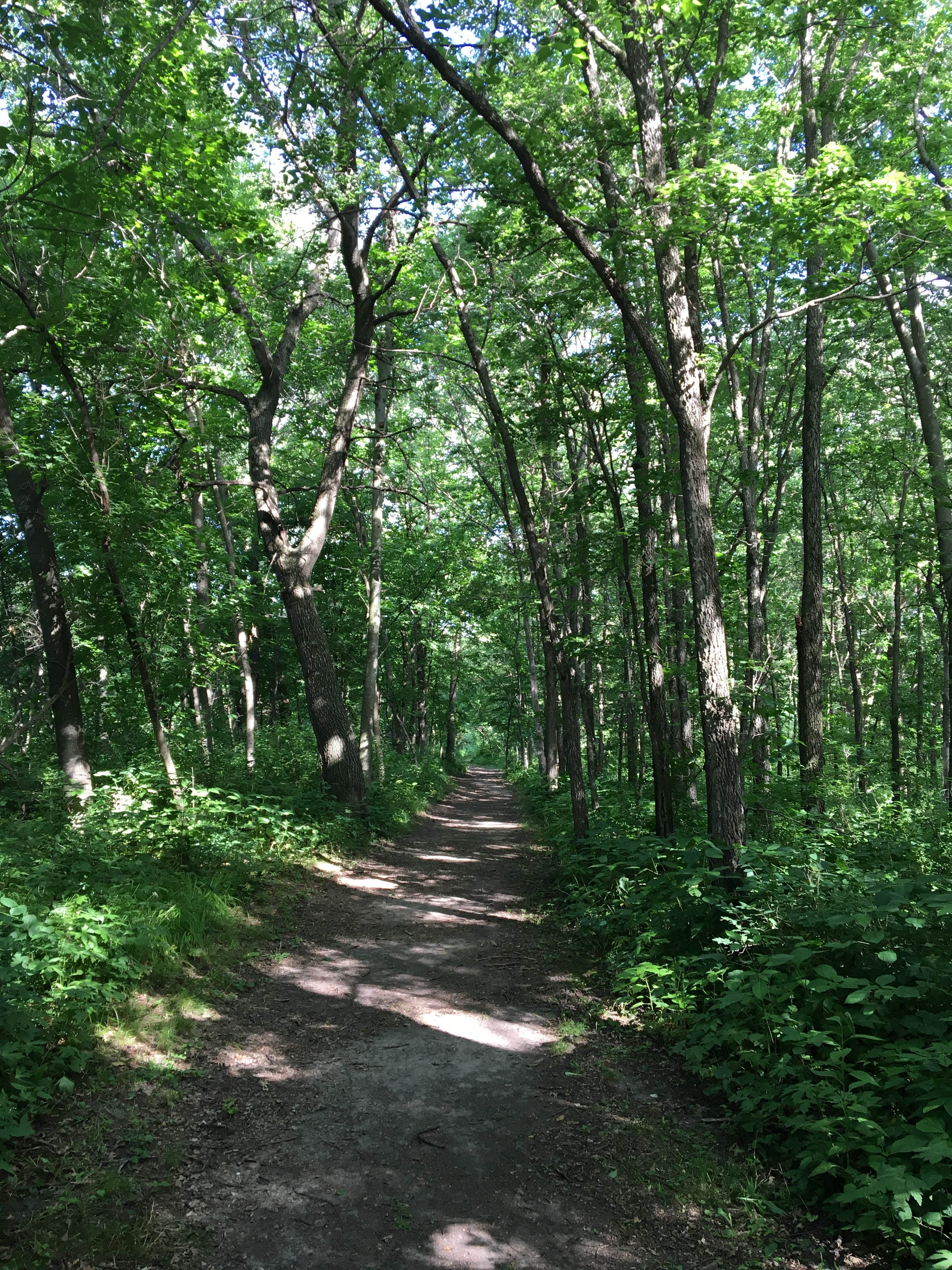 Lake Louise State Park Campground | Le Roy, MN