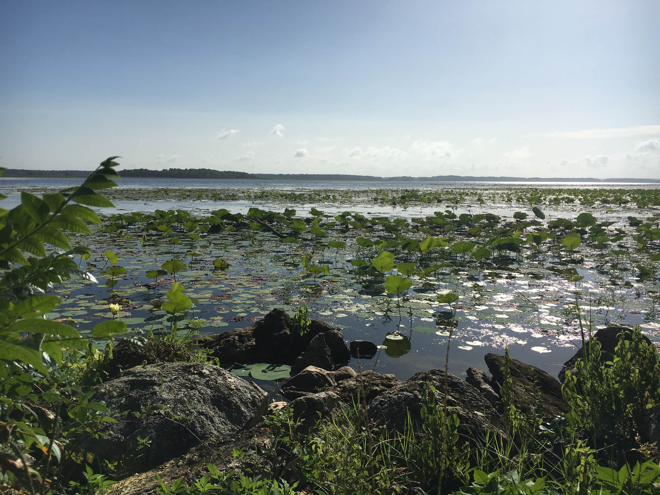 Three Rivers State Park | The Dyrt