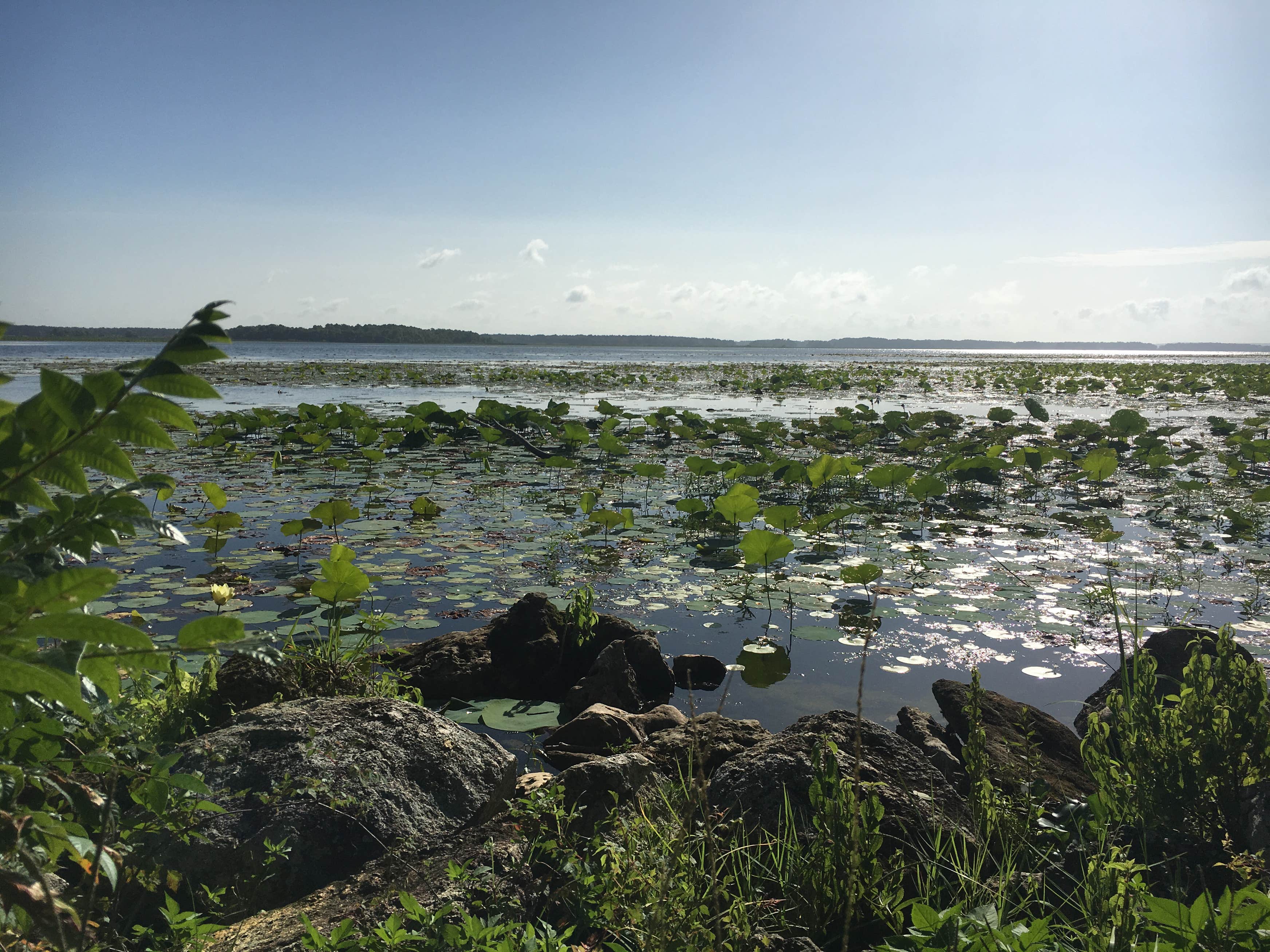 Three Rivers State Park Camping | The Dyrt