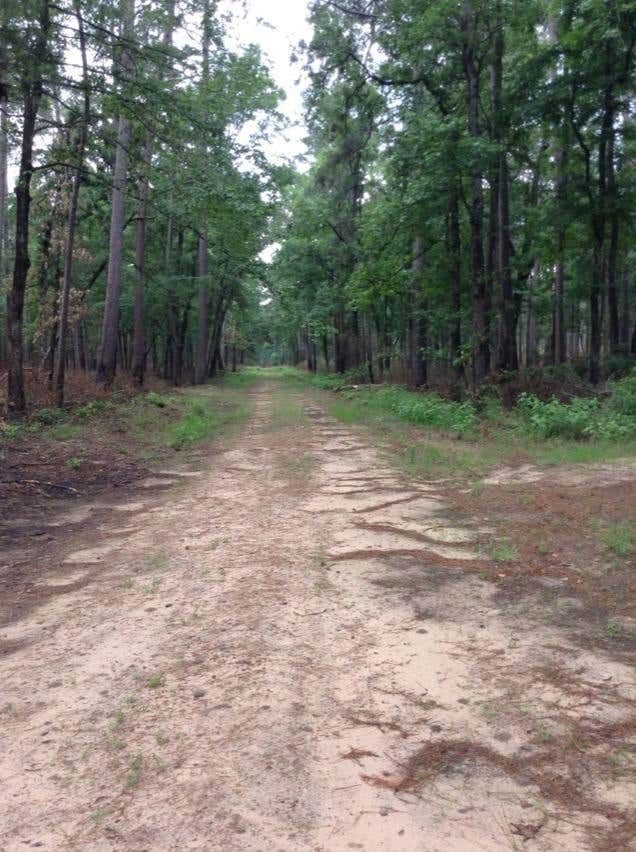 Ratcliff Lake Recreation Area Camping | Kennard, TX