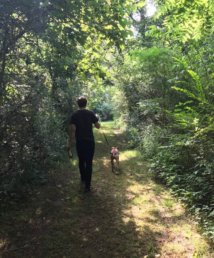 Boze Mill Float Camp | Alton, MO