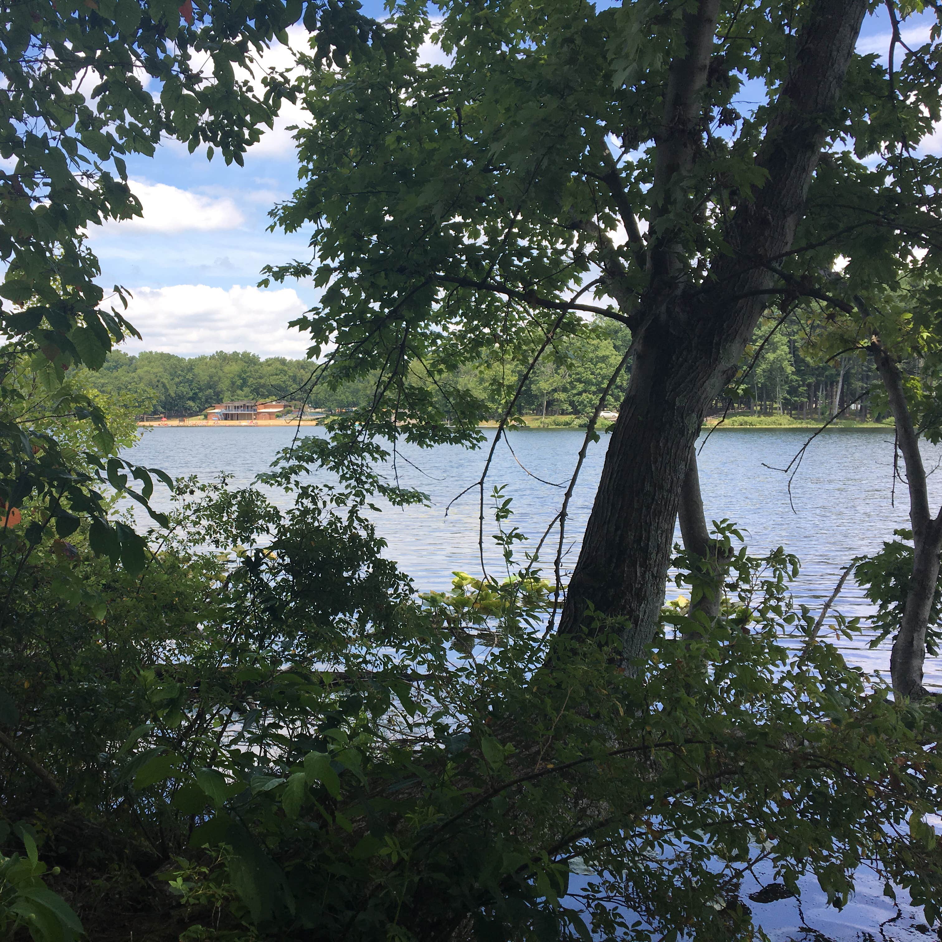 Lincoln State Park Camping | The Dyrt