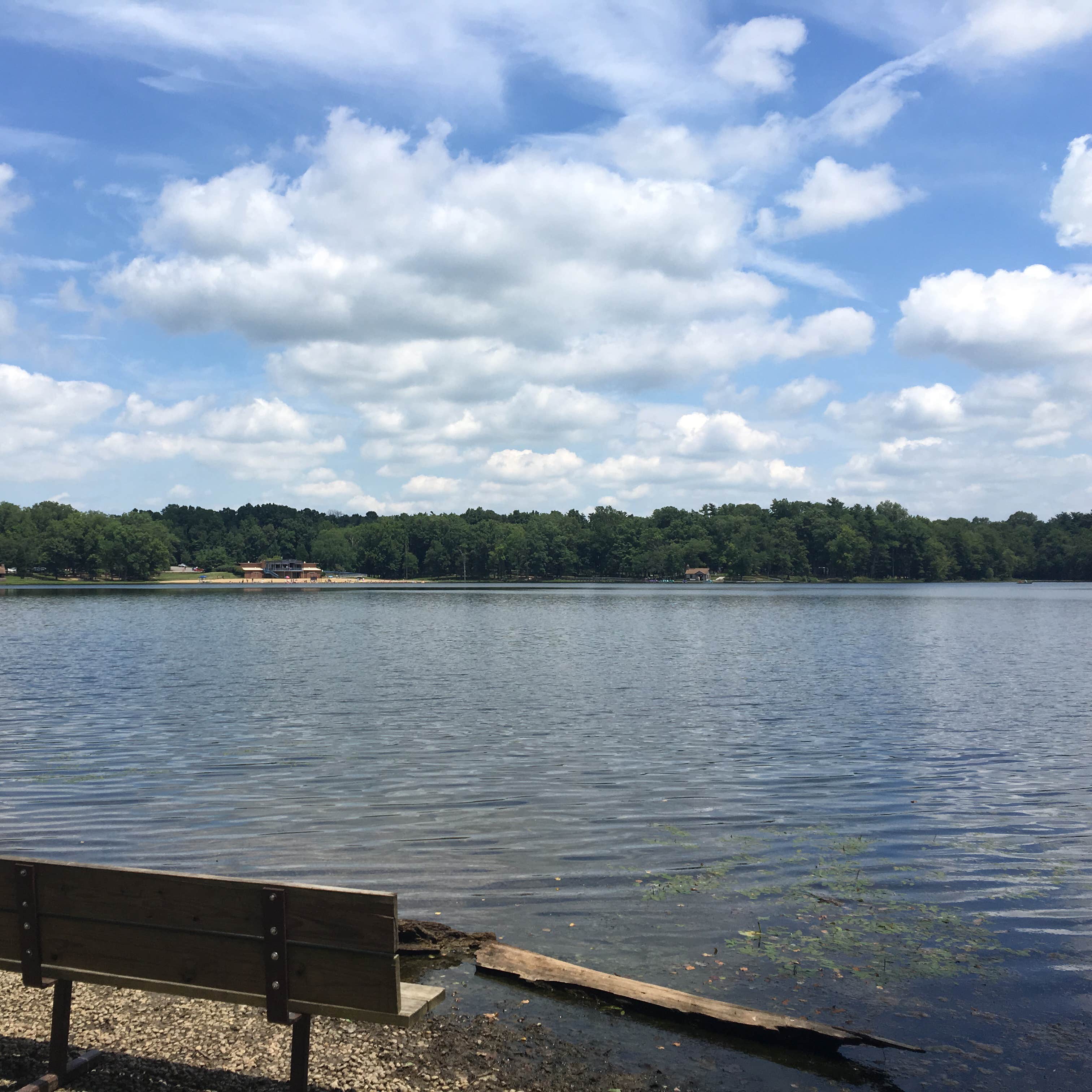 Lincoln State Park Camping | The Dyrt