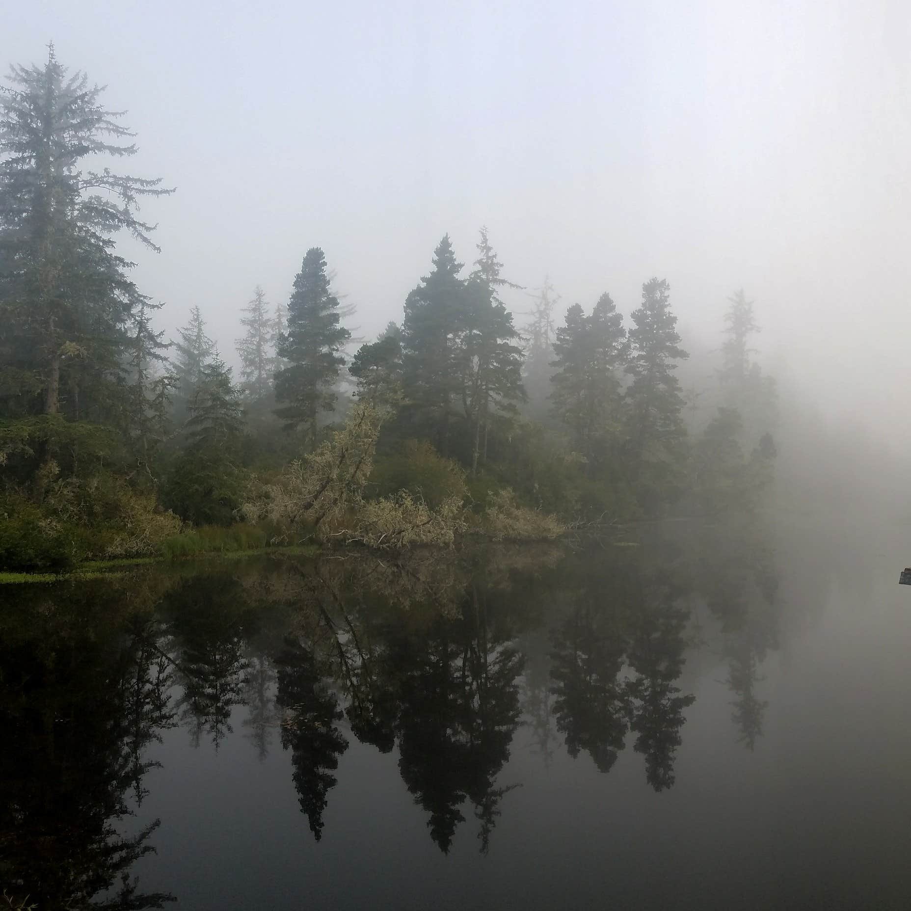 Lagoon Campground R Camping | The Dyrt