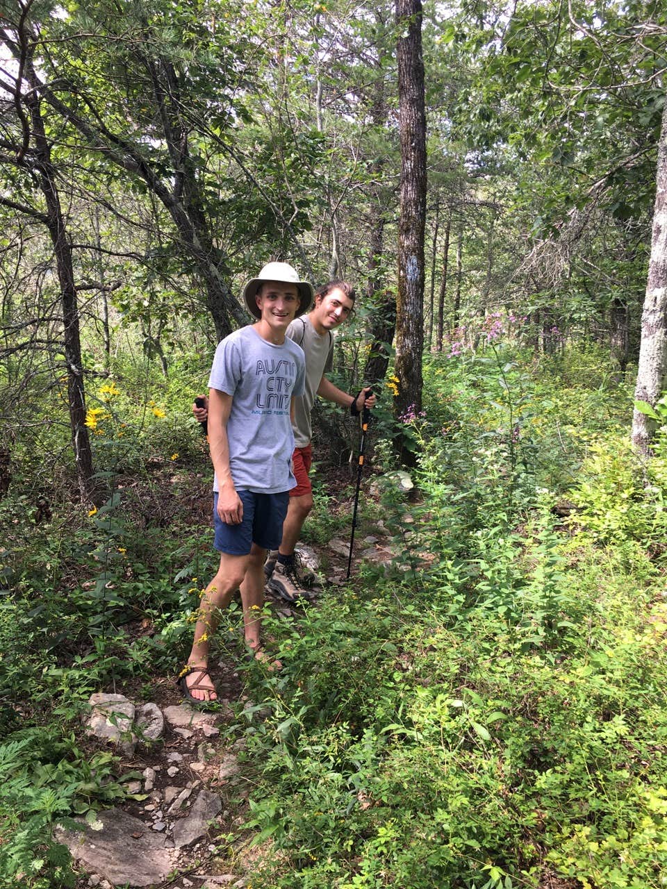 Pinhoti Trail Cave Creek Connector Backcountry Campground — Cheaha ...