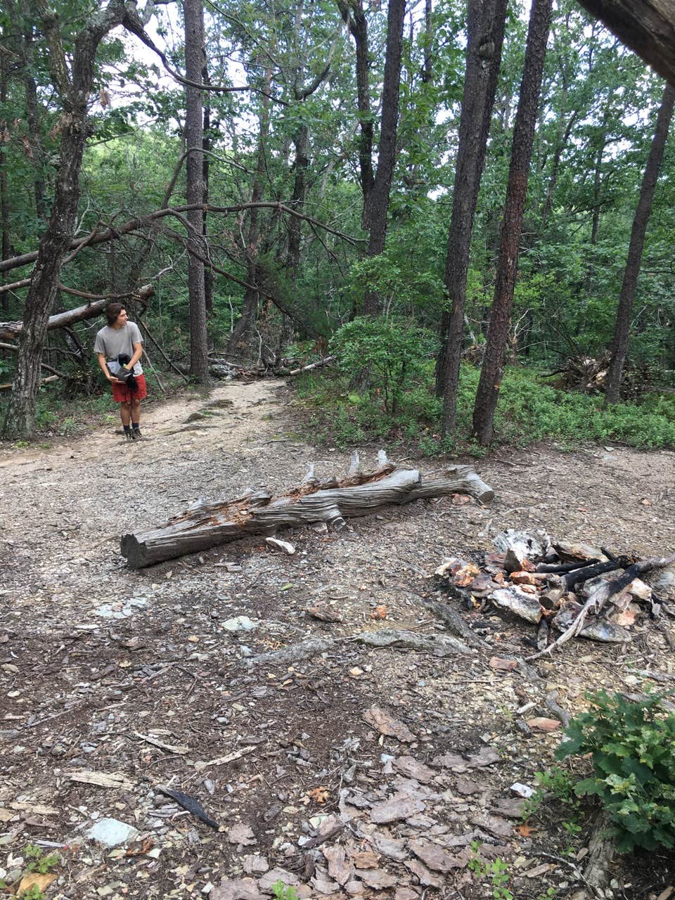 Pinhoti Trail Cave Creek Connector Backcountry Campground — Cheaha ...