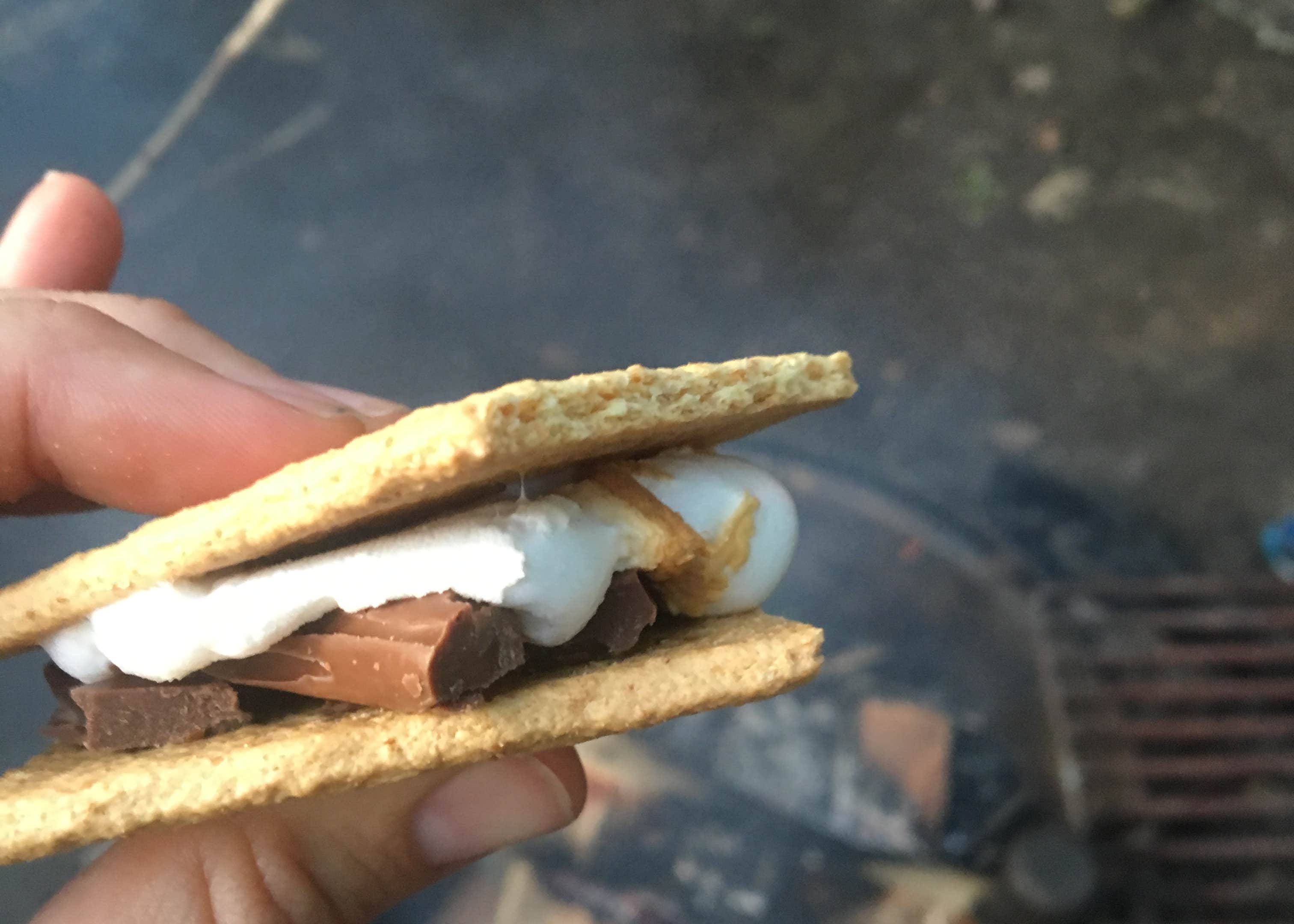 Lake Maria State Park Camping | The Dyrt