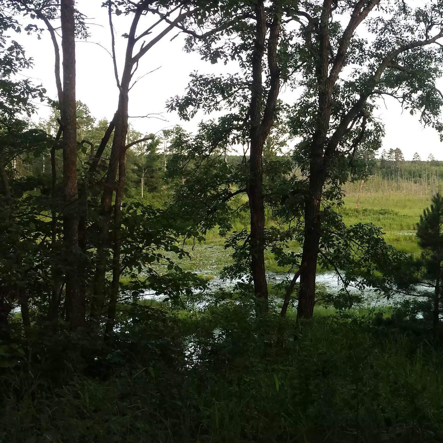 Woodtick Trail Dispersed Camp 1 | Hackensack, MN