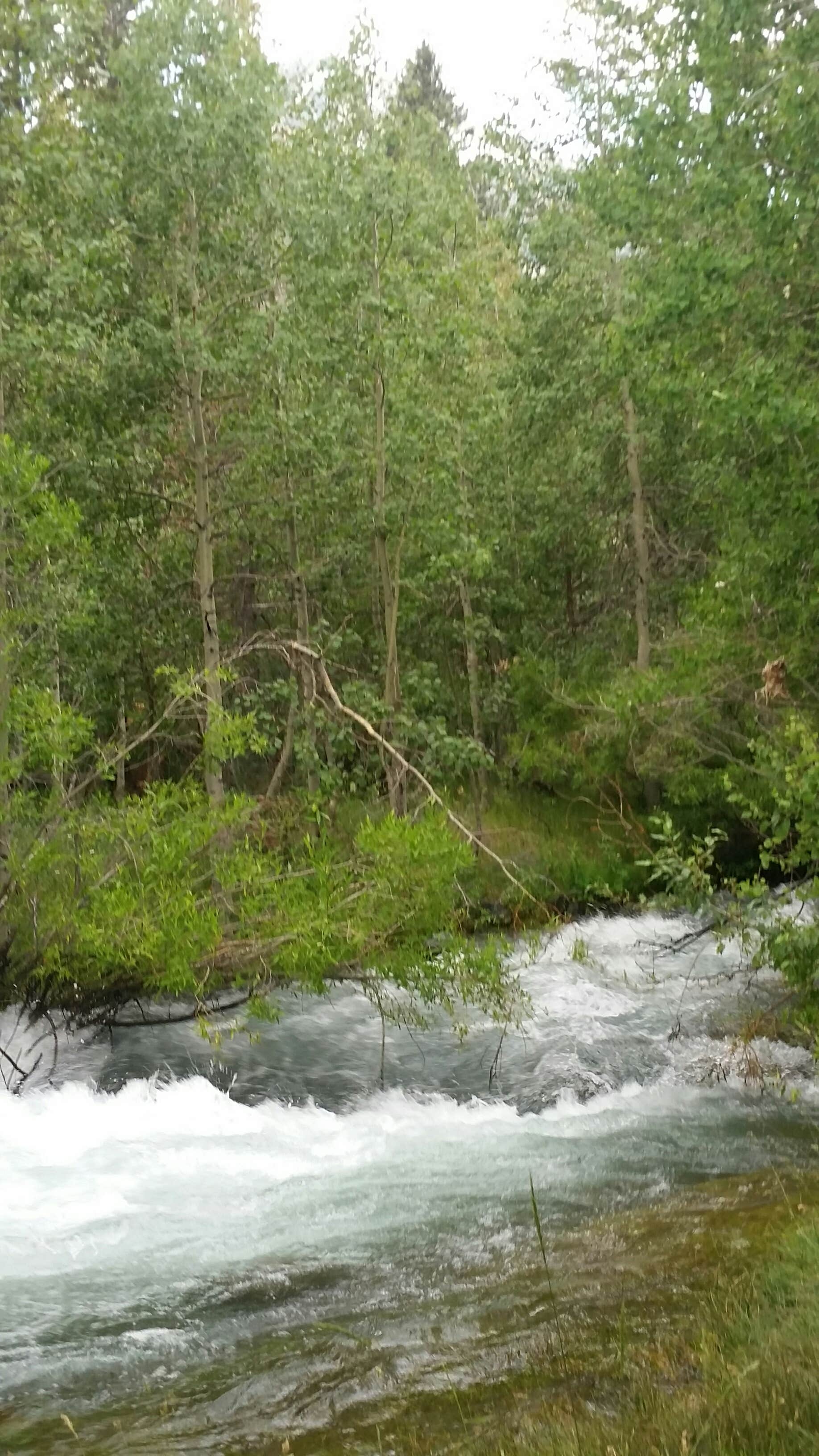 Lundy Lake Campground | The Dyrt