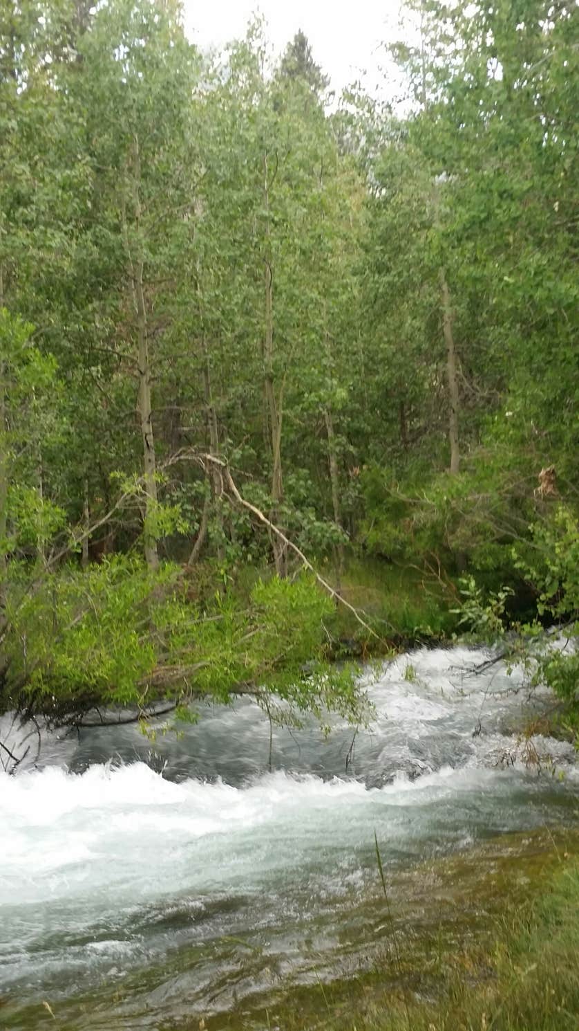 Lundy Lake Campground Camping | The Dyrt