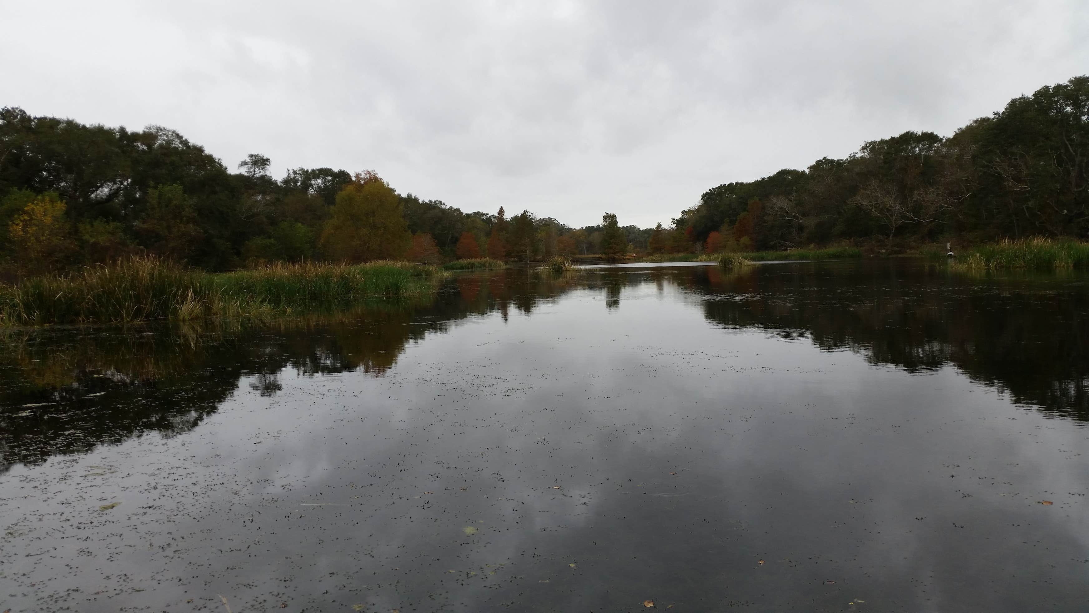 Brazos Bend State Park Camping | The Dyrt