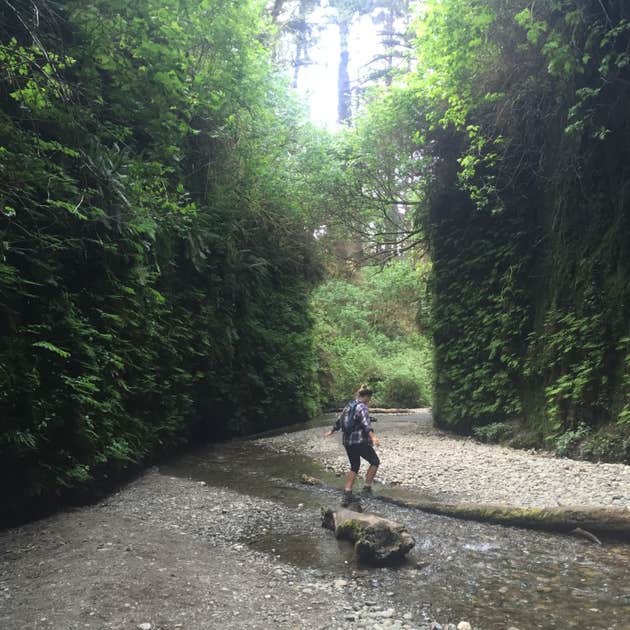 Flint Ridge Backcountry Site - Redwood National and State Park Camping ...