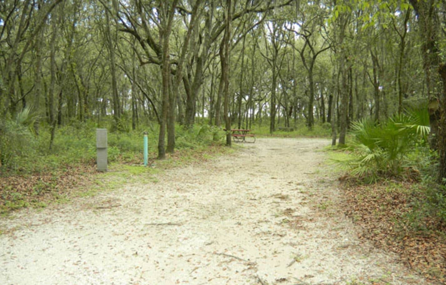 Lithia Springs Conservation Park Camping | Lithia, FL