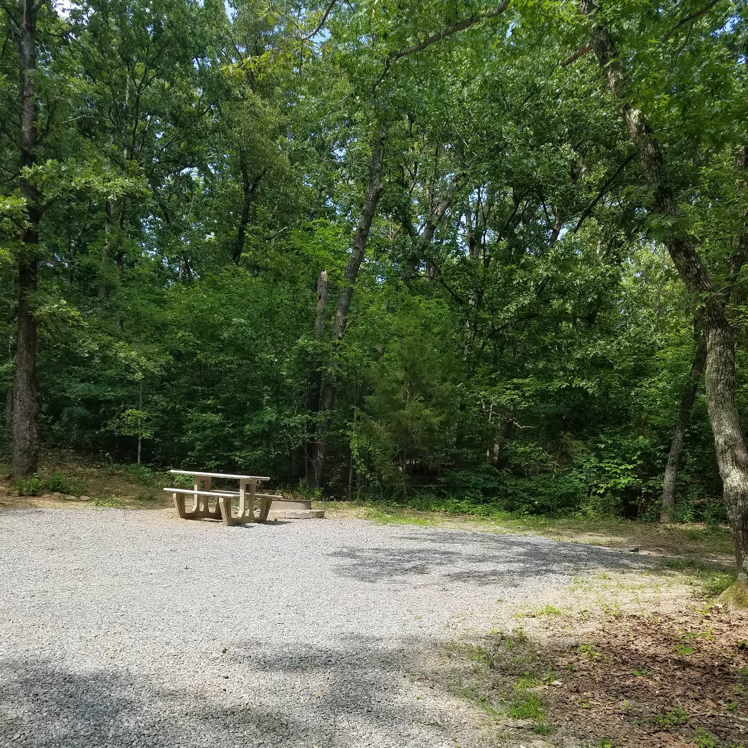 Sugar Bay Campground Camping | The Dyrt