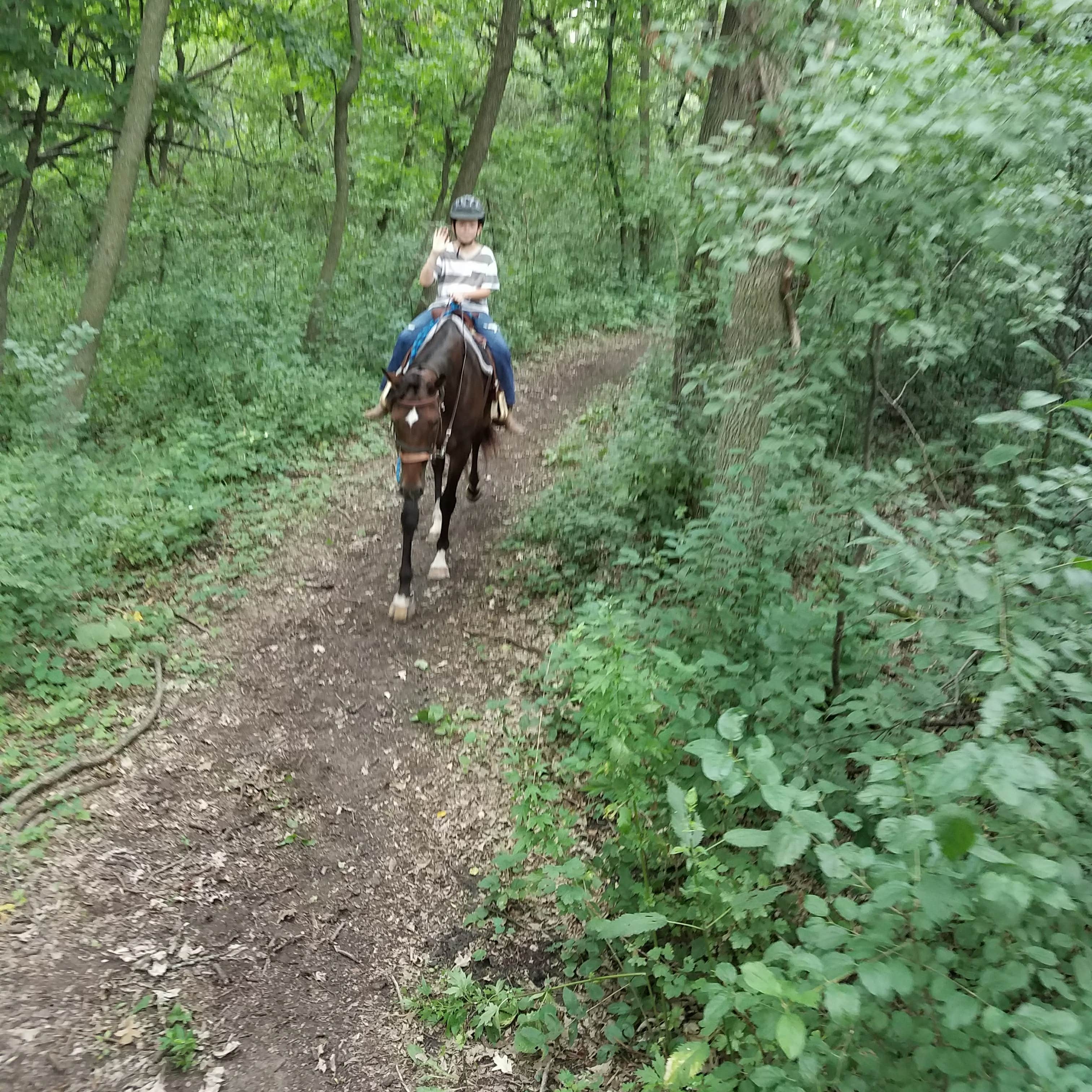 Fort Ridgely State Park Camping | The Dyrt