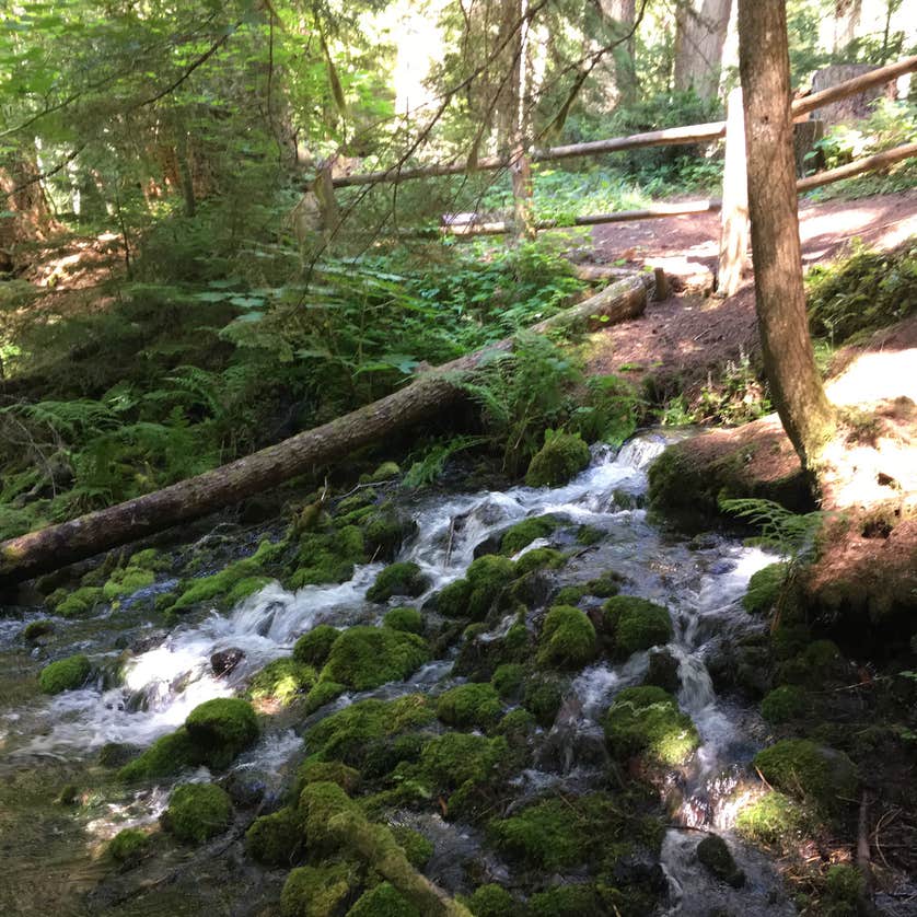 Silver Springs Campground Camping | The Dyrt