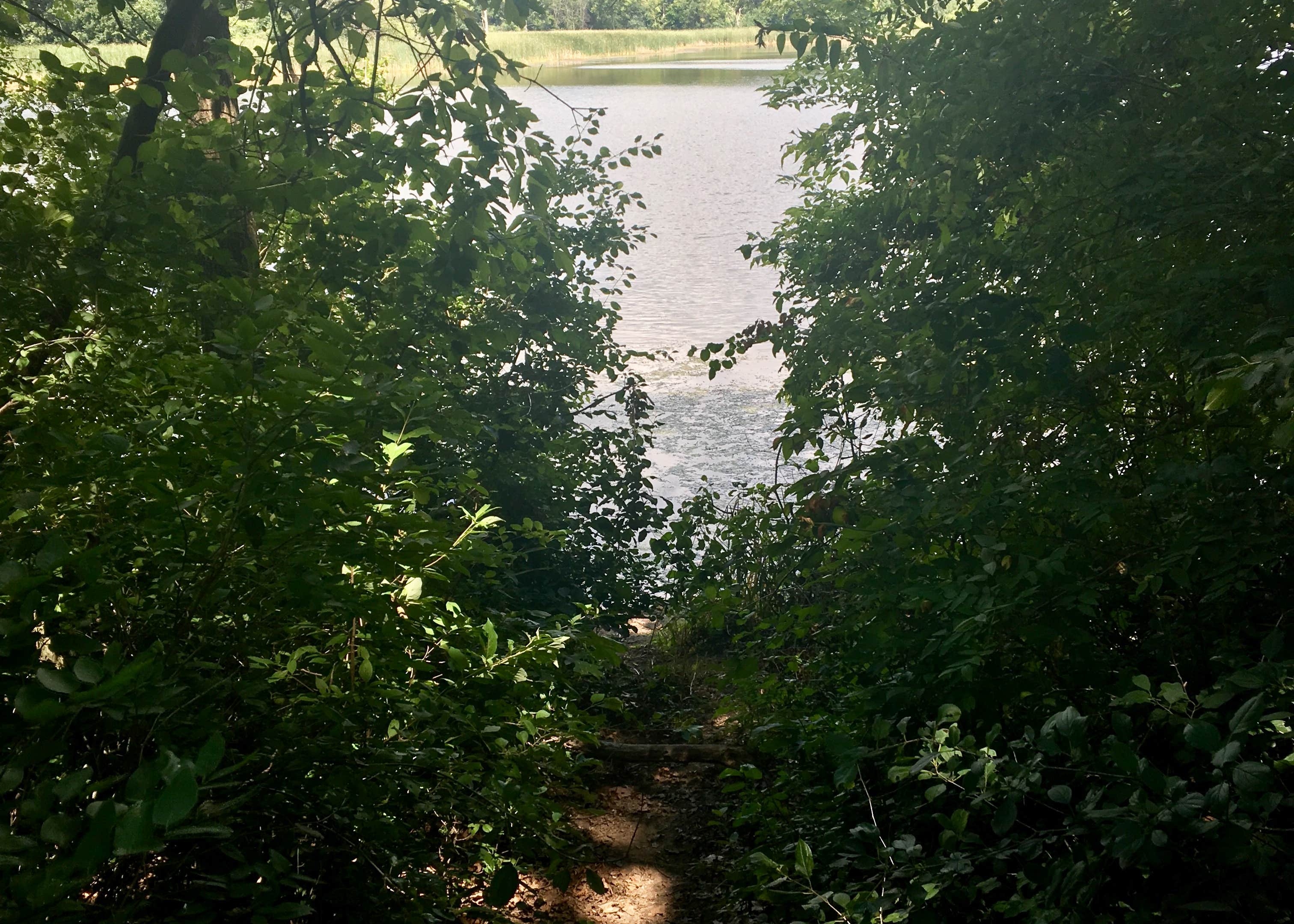 Lake Elmo County Park Reserve Camping | The Dyrt