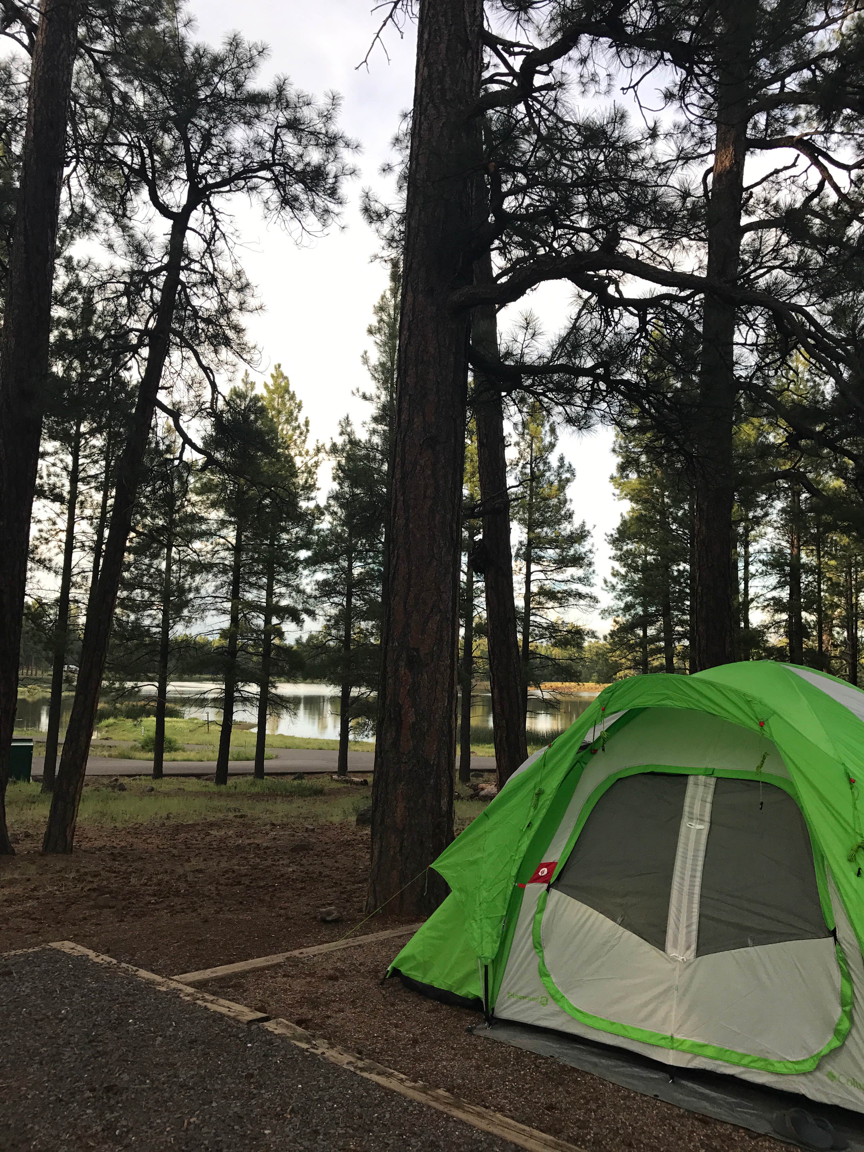 White Horse Lake Campground | Williams, AZ