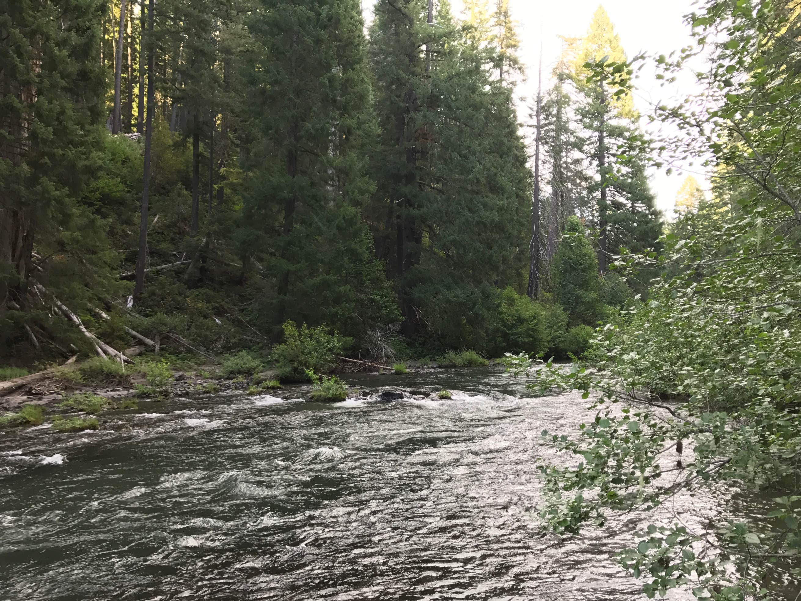 Farewell Bend Campground | The Dyrt